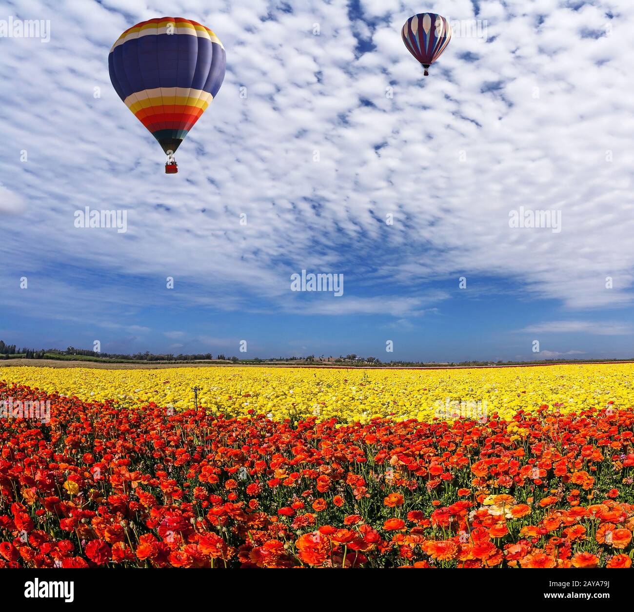 Two huge multi-color balloons Stock Photo - Alamy