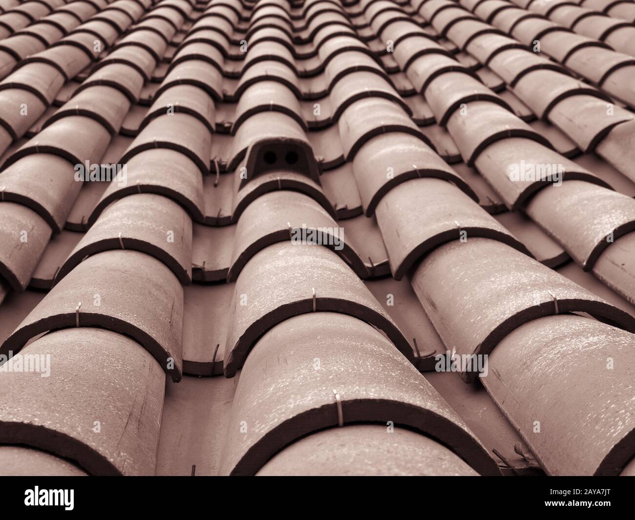 Wavy roof tiles hi-res stock photography and images - Alamy