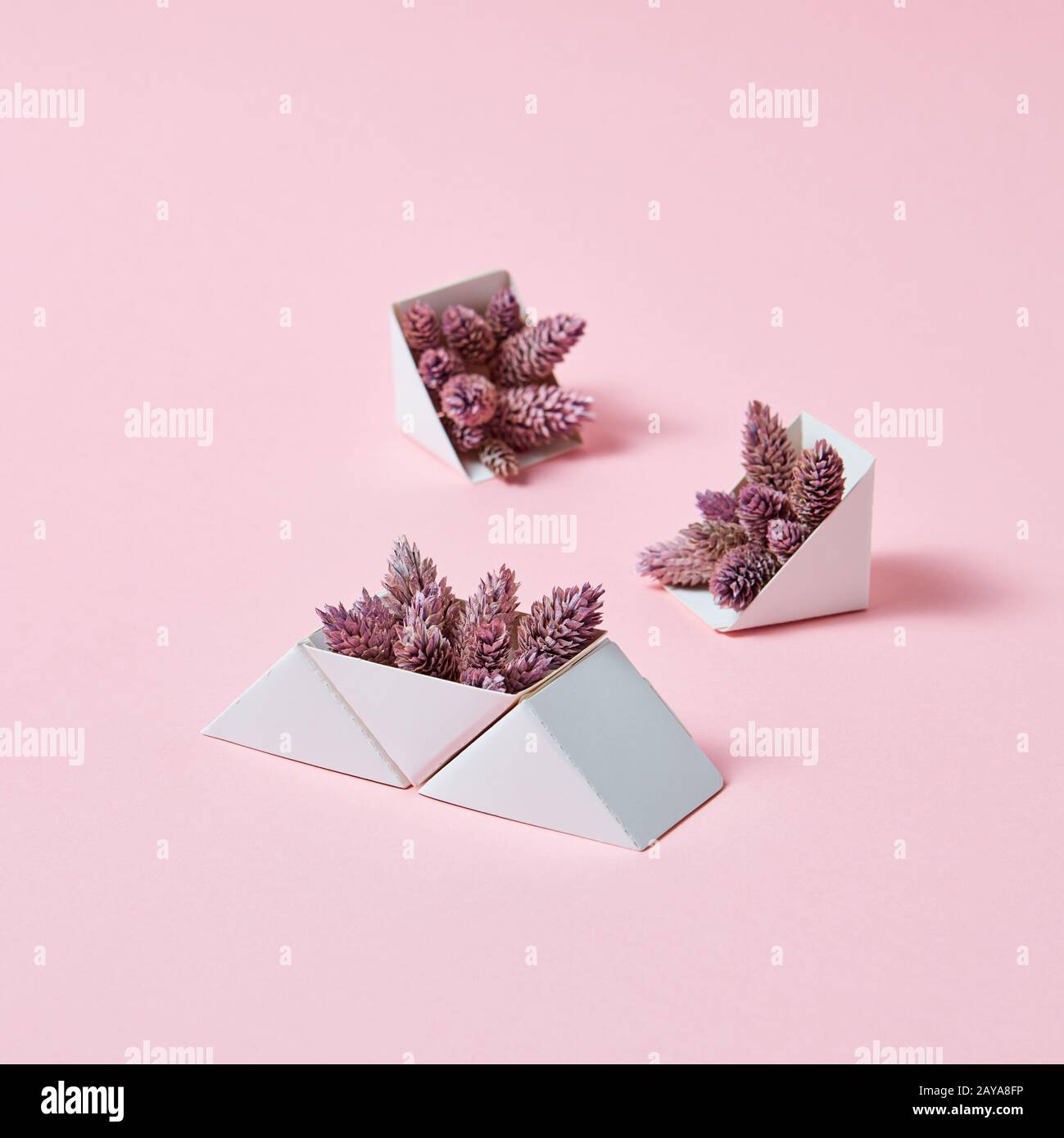 A set of triangular cardboard boxes with pine cones on a pink ...