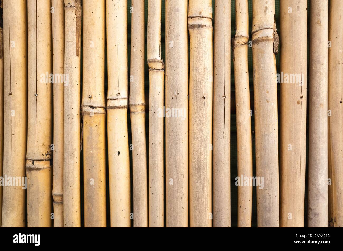 yellow bamboo wall background Stock Photo - Alamy