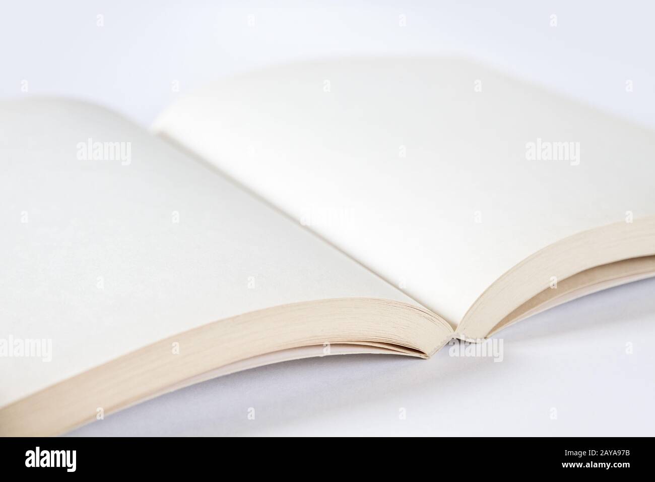 Open blank book mockup Stock Photo - Alamy