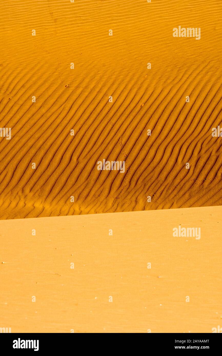 Detail of the ripples with animal tracks in the pink sand of a sand ...