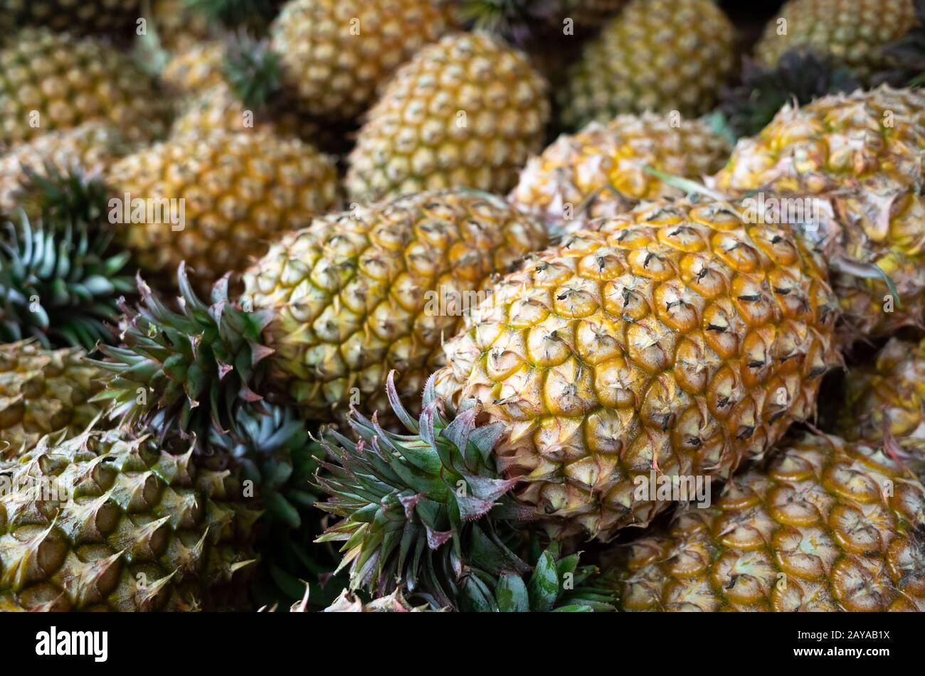 group of pineapple fruit Stock Photo - Alamy