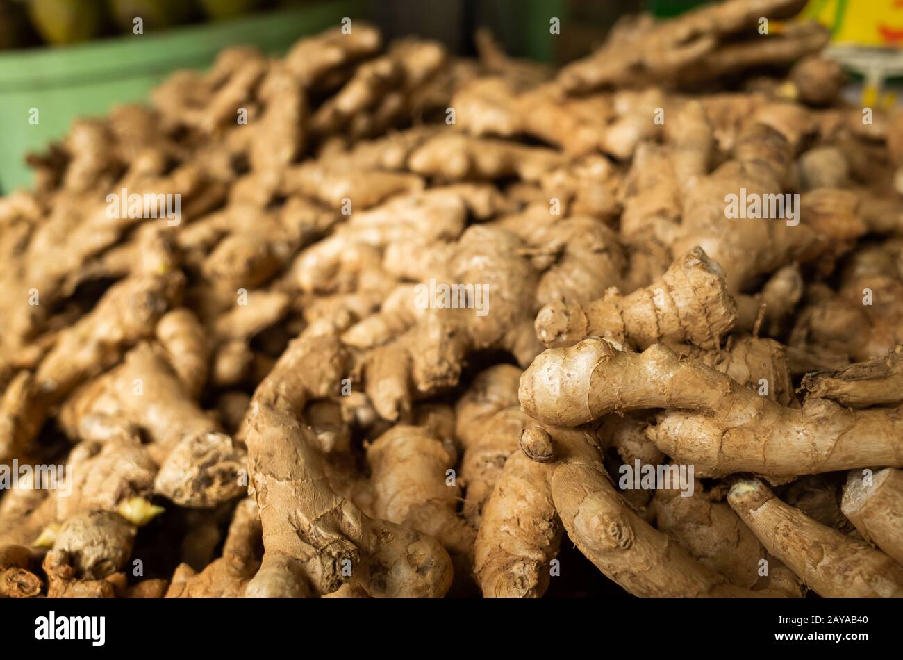 Ginger taiwan hi-res stock photography and images - Alamy