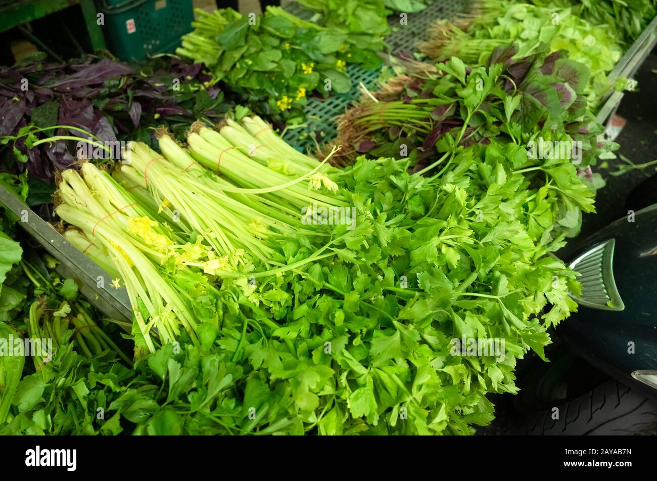 Taiwan vegetables hi-res stock photography and images - Alamy
