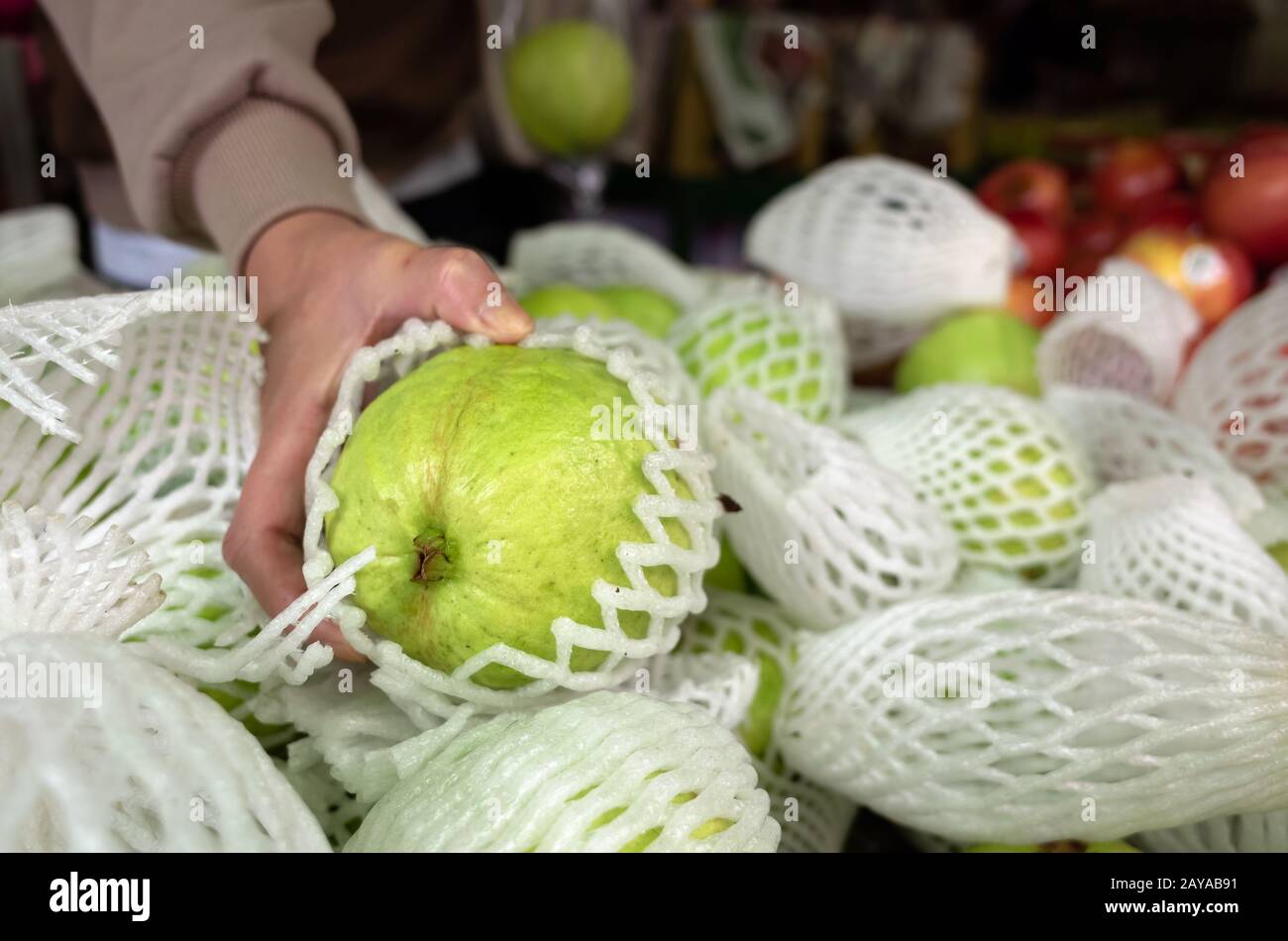 green fresh guava fruit Stock Photo - Alamy green fresh guava fruit Stock Photo - Alamy