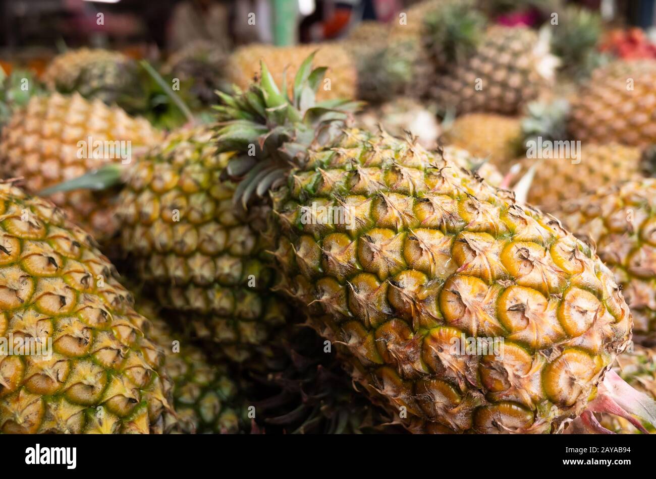 fresh pineapple fruit Stock Photo - Alamy