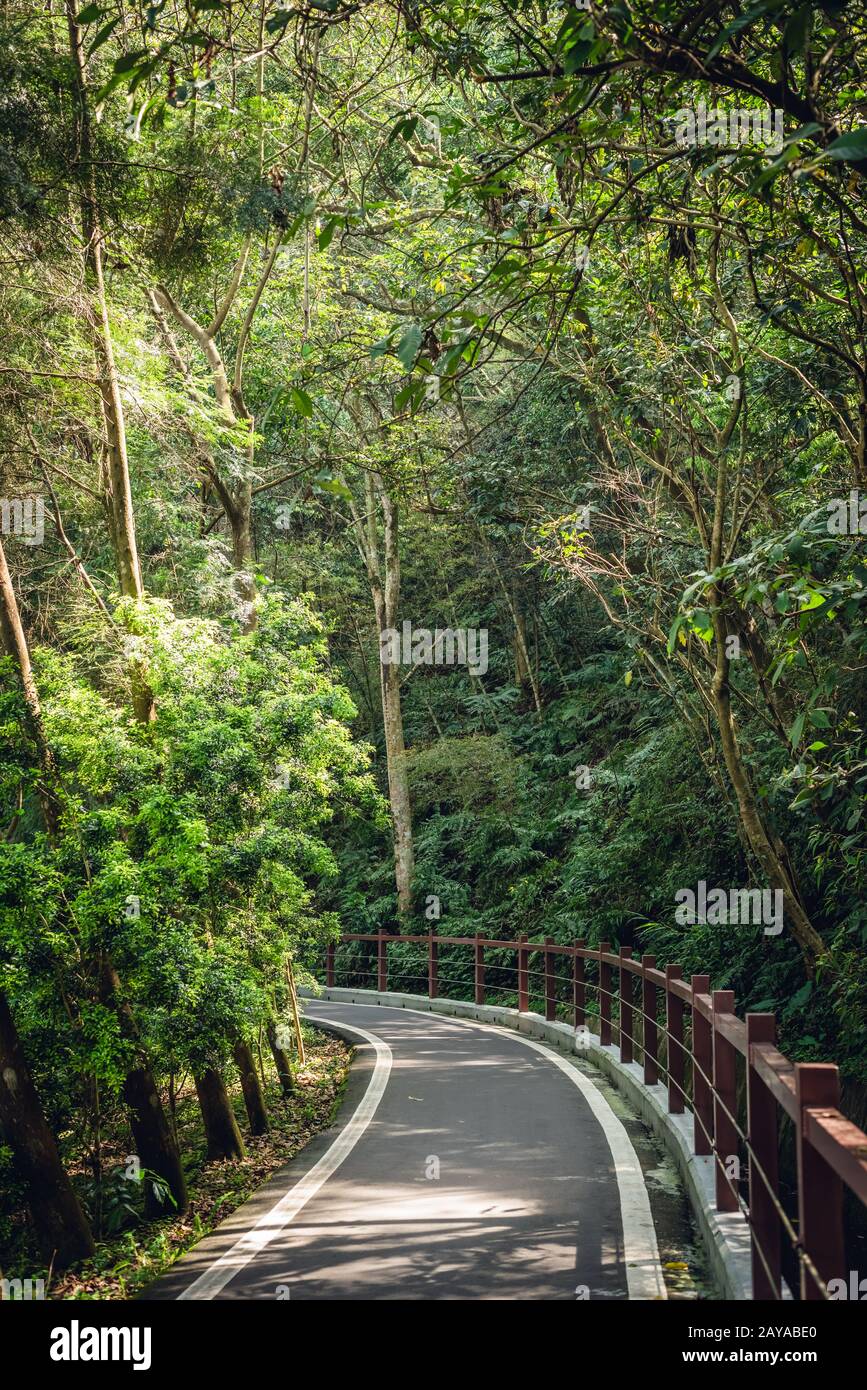 small road by trees with nobody Stock Photo - Alamy