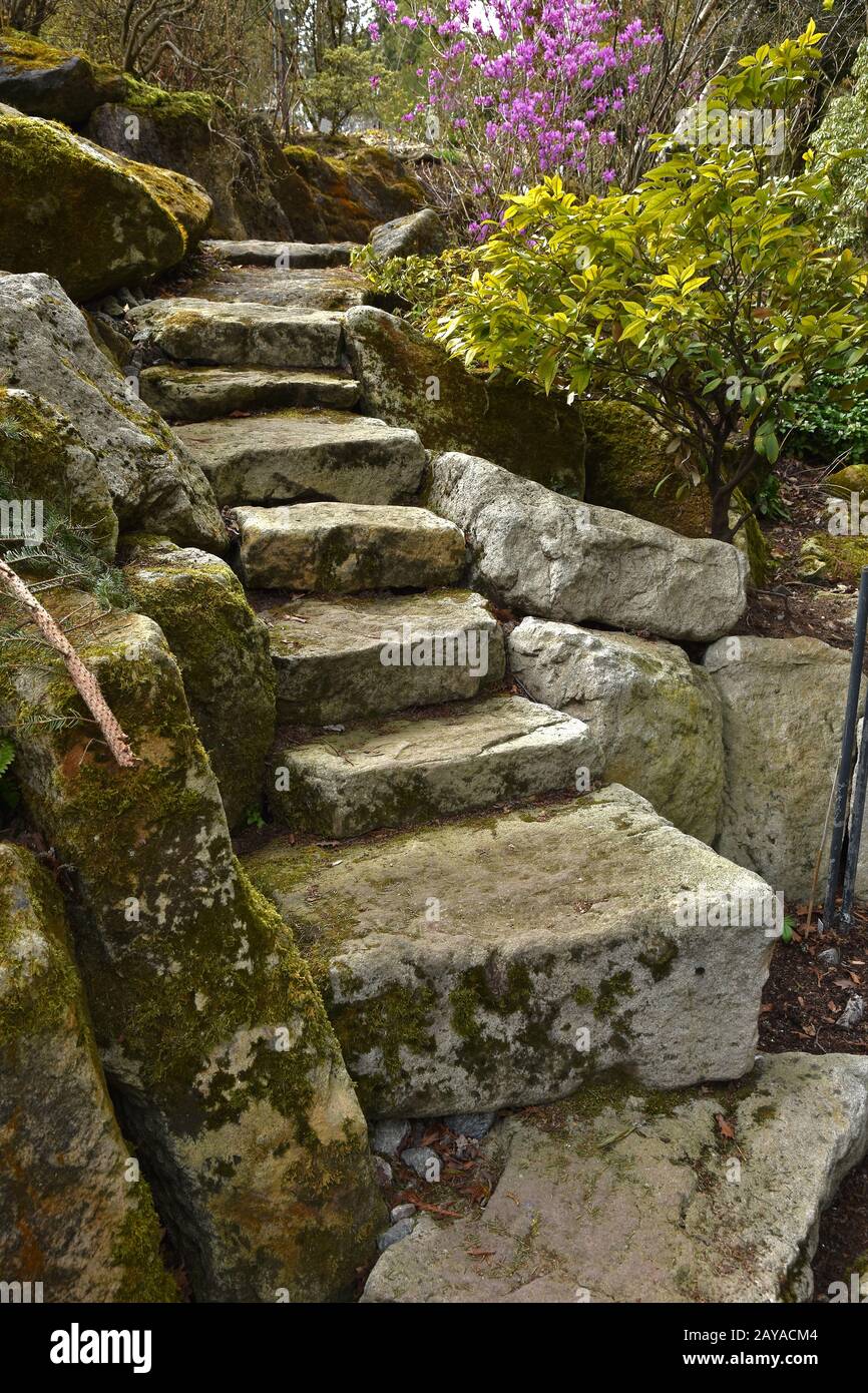 Stone stone stairs hi-res stock photography and images - Alamy