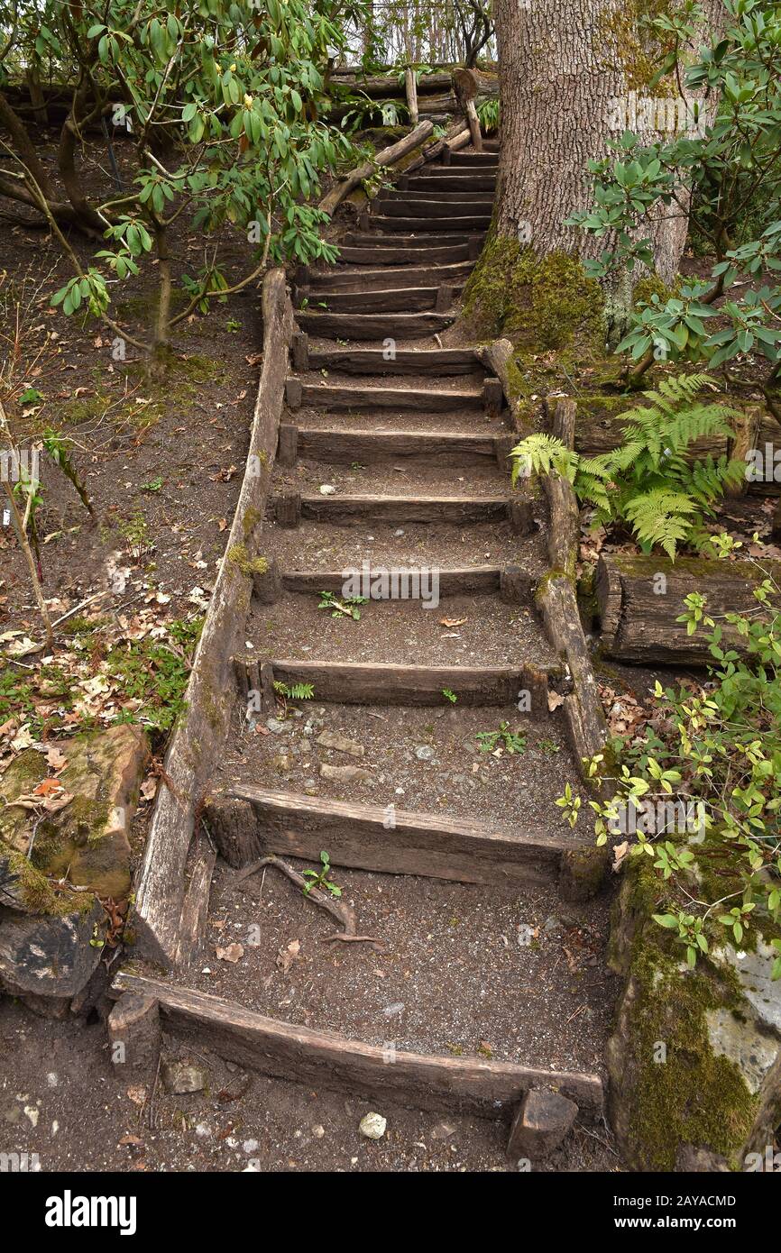 Stairs of wooden footbridge hi-res stock photography and images - Alamy