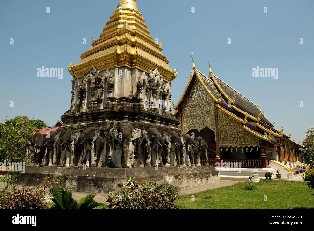 Chiang Mai Thailand - Temple Chiang Man elephant statues Stock Photo ...