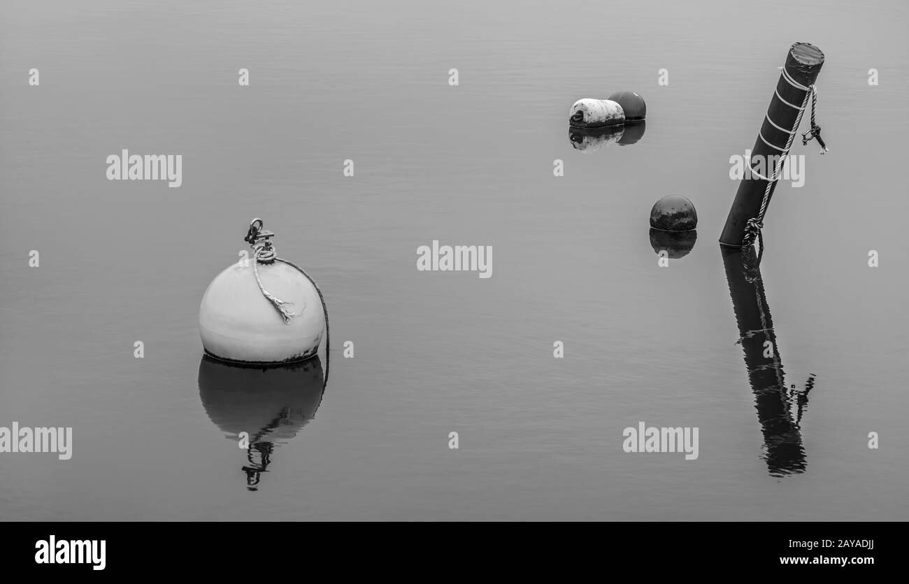 Detailed maritime study hi-res stock photography and images - Alamy