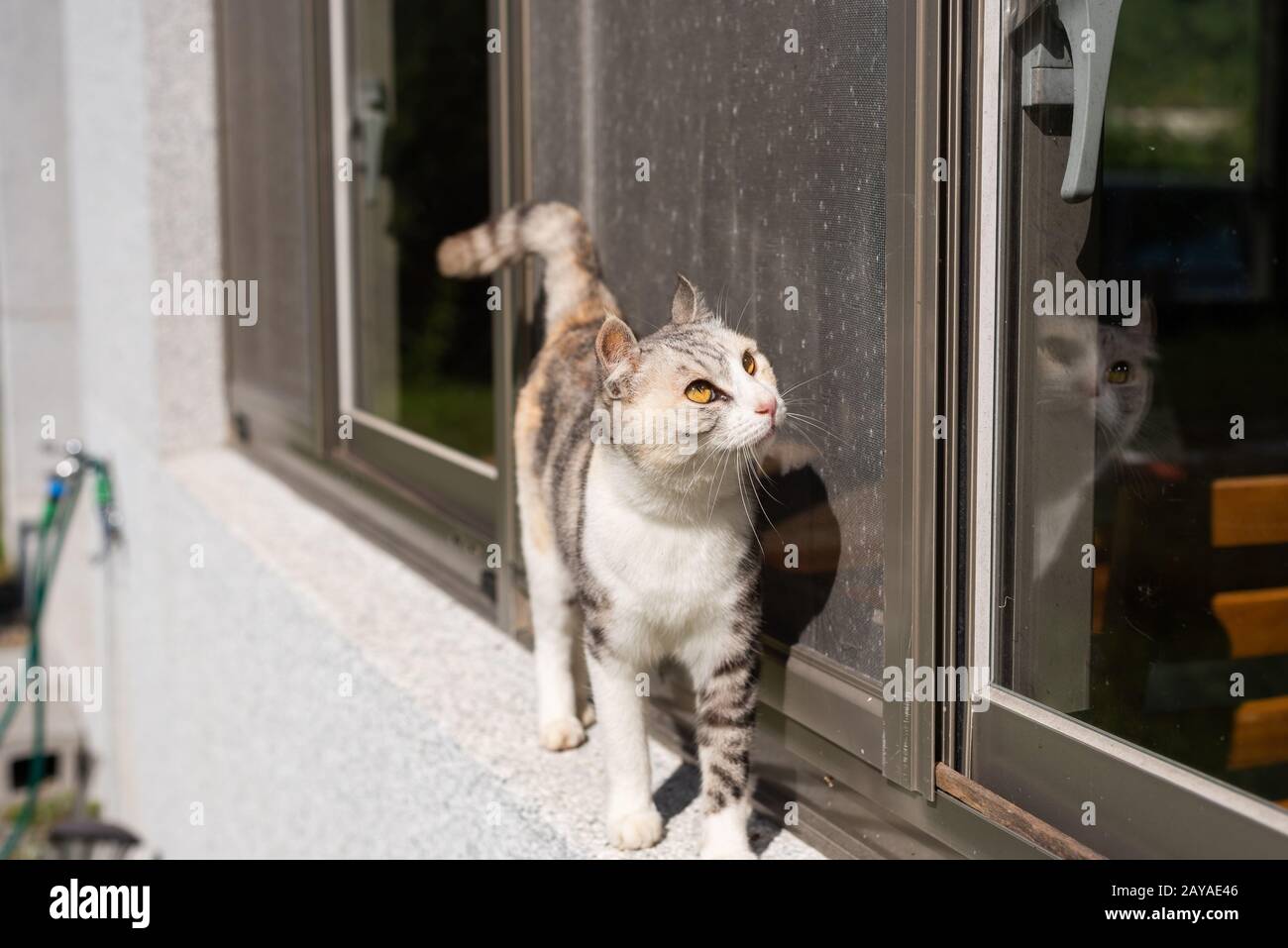 Stand at the window hi-res stock photography and images - Alamy