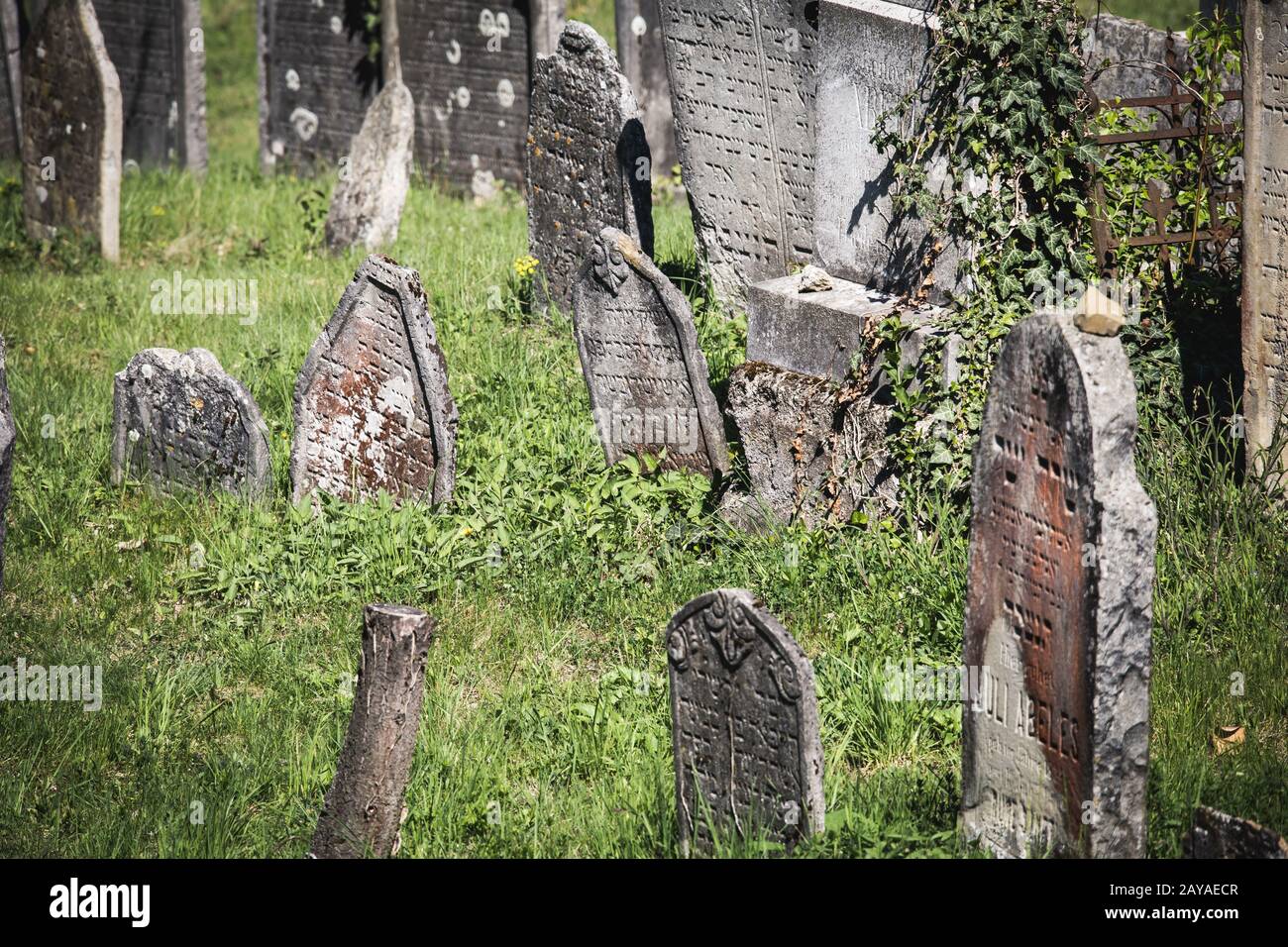 Old Jewish Cemetery Stock Photo - Alamy