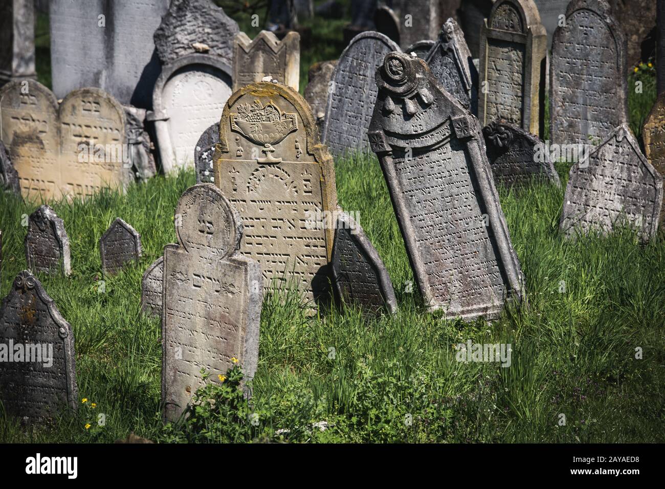 Old Jewish Cemetery Stock Photo - Alamy