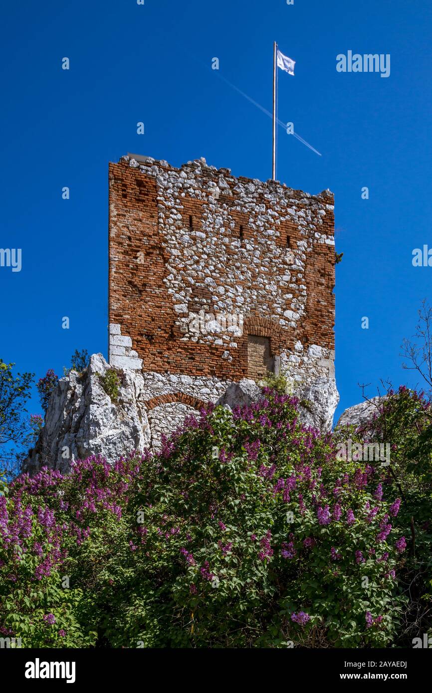 Goat Castle. Renaissance artillery tower Stock Photo - Alamy