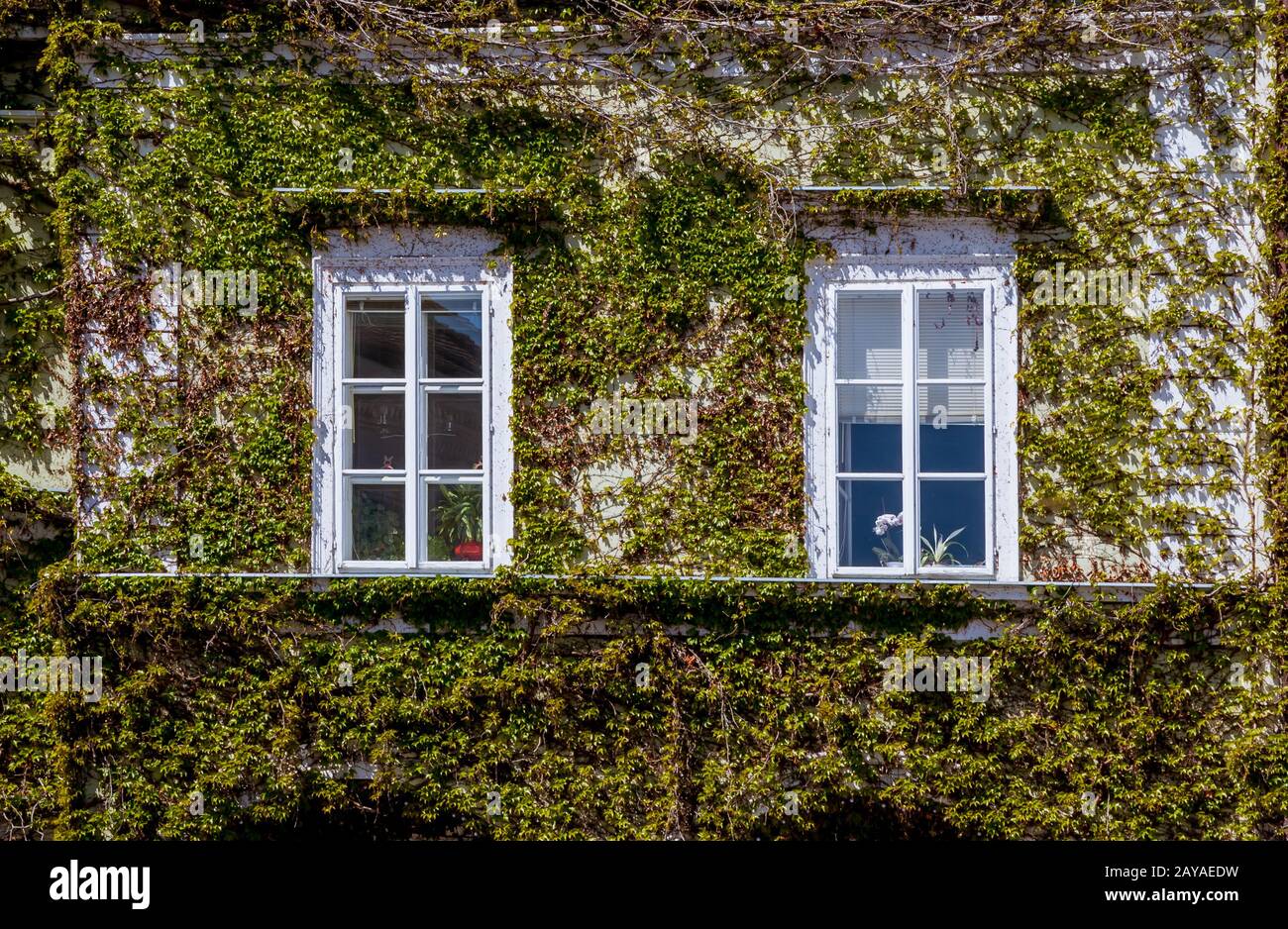 Vindow view hi-res stock photography and images - Alamy