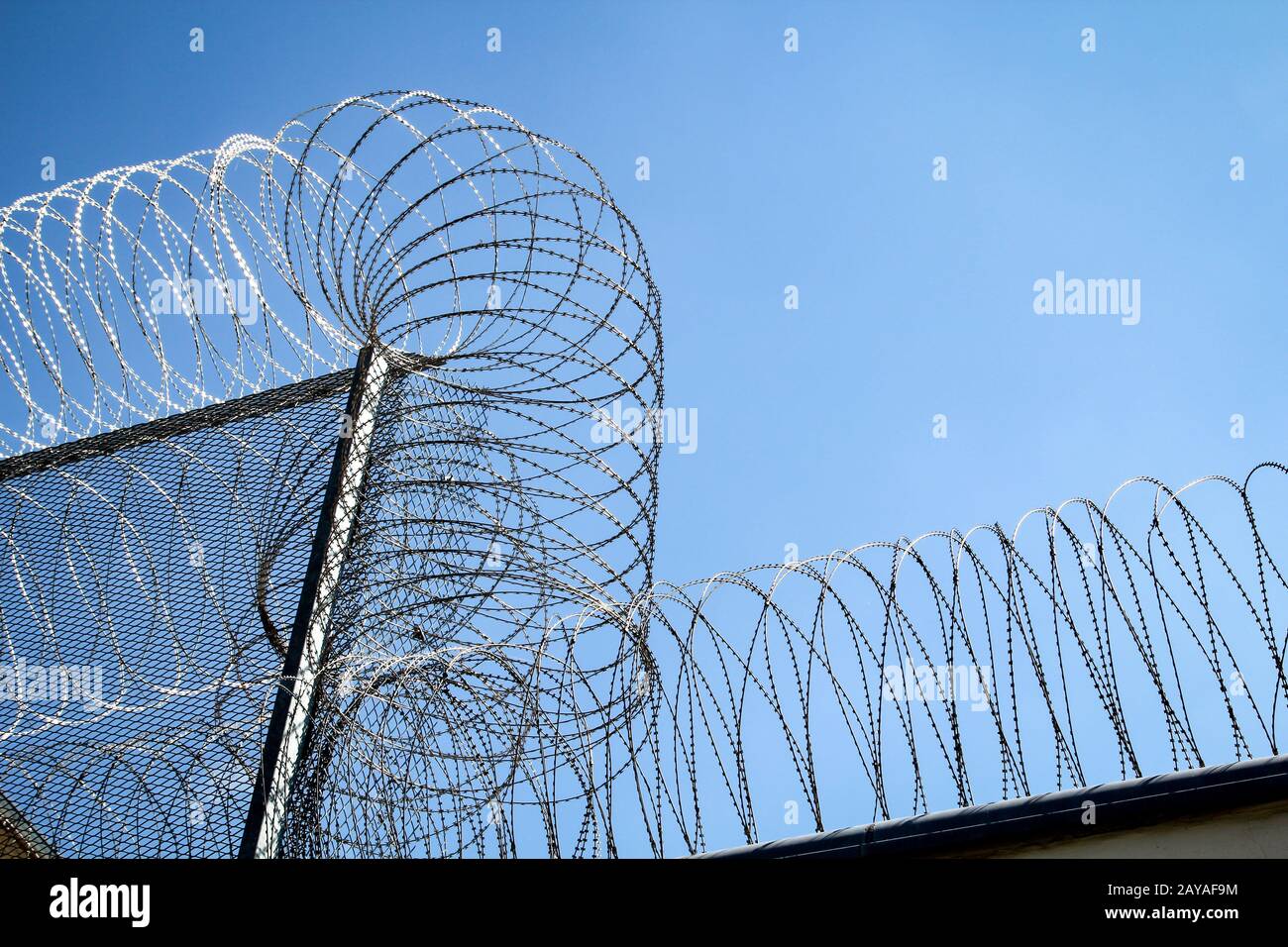 Prison Barb Wire Fence