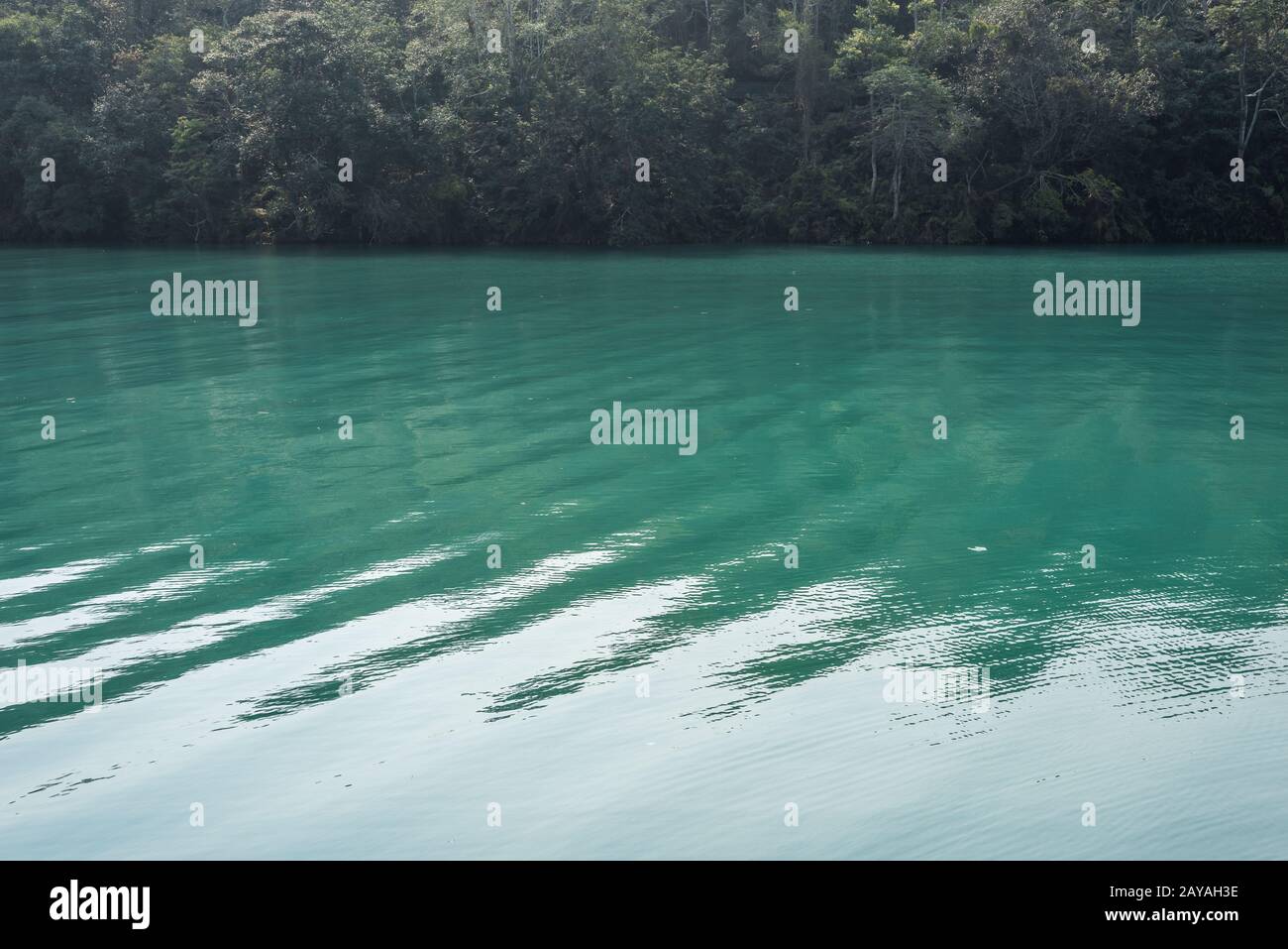 landscape of green water at Sun Moon Lake Stock Photo - Alamy