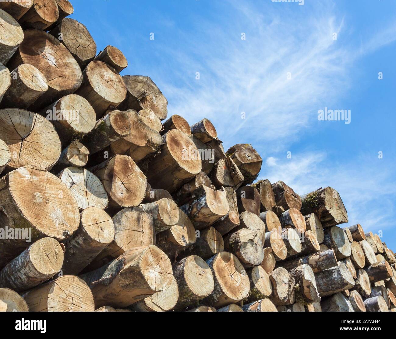 Firewood stacks hi-res stock photography and images - Alamy