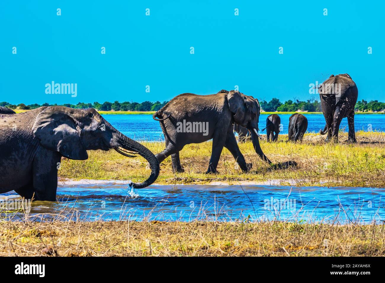 Okavango people hi-res stock photography and images - Alamy