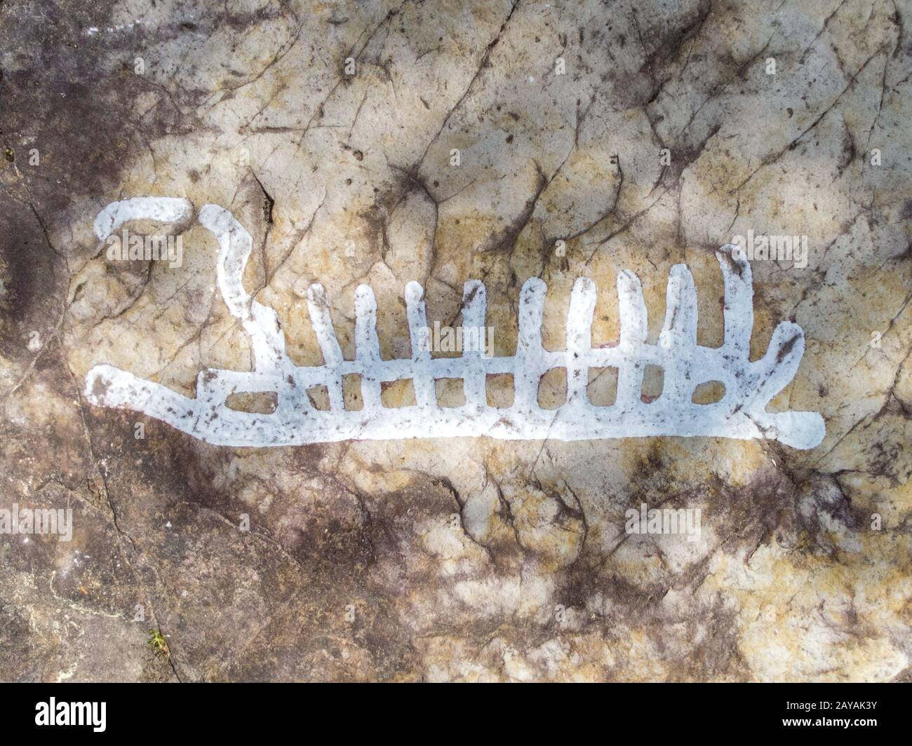 Prehistoric rock carving hi-res stock photography and images - Alamy