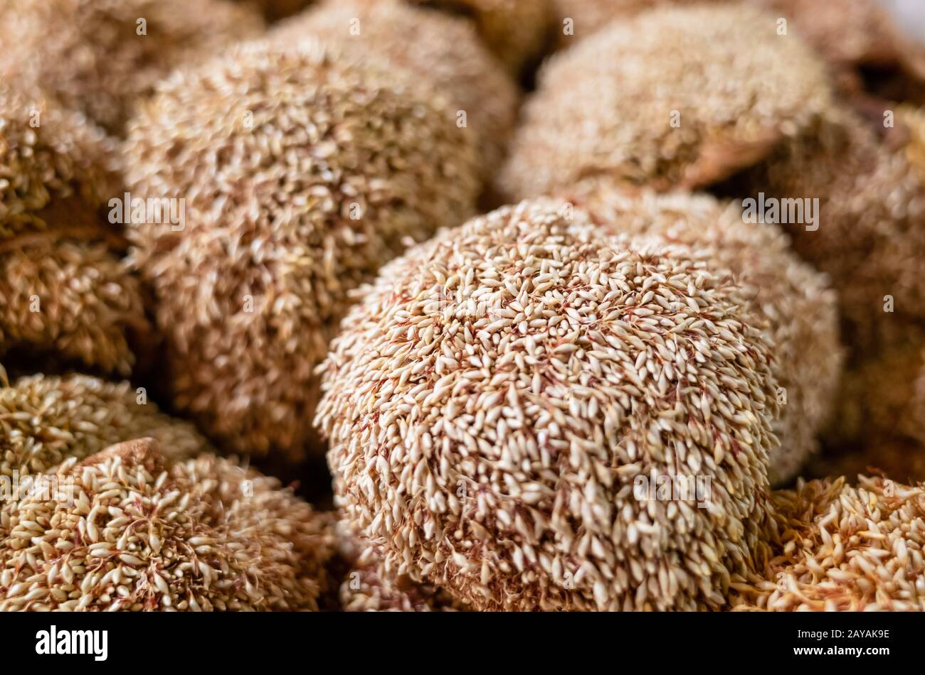 group of dried aiyu seeds Stock Photo - Alamy