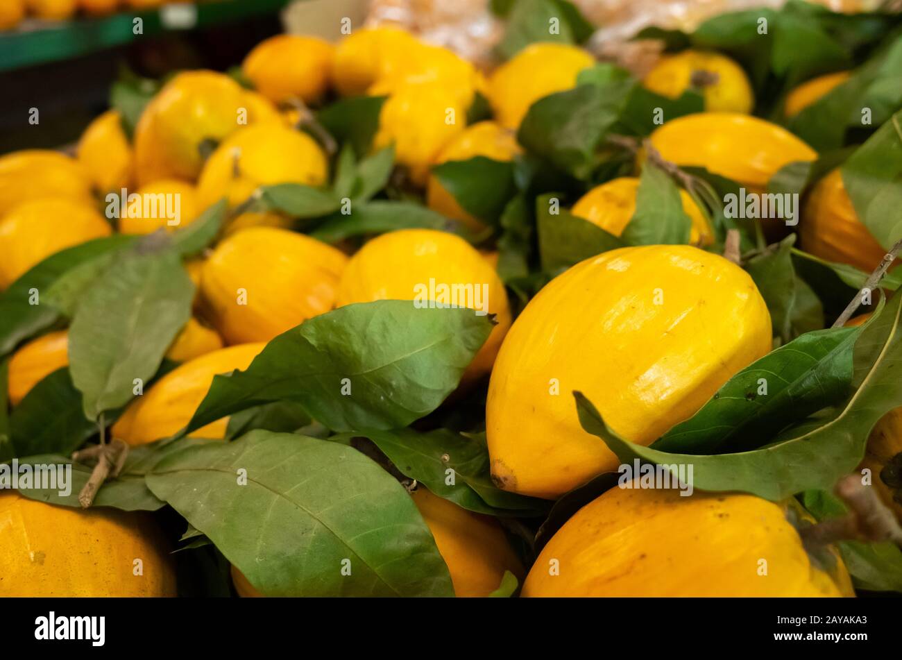 yellow tropical fruit of canistel Stock Photo - Alamy