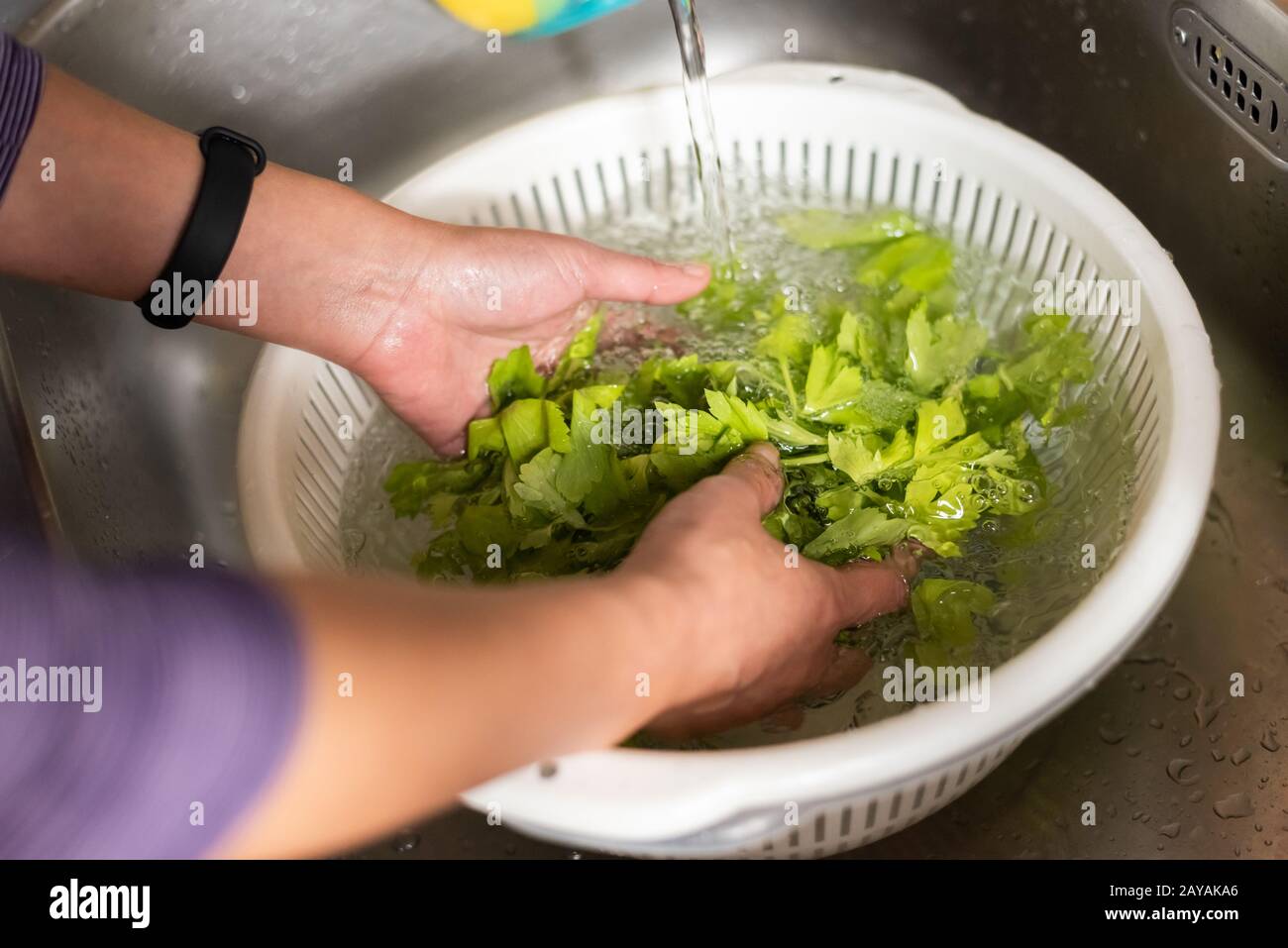woman washing vegetables Stock Photo - Alamy