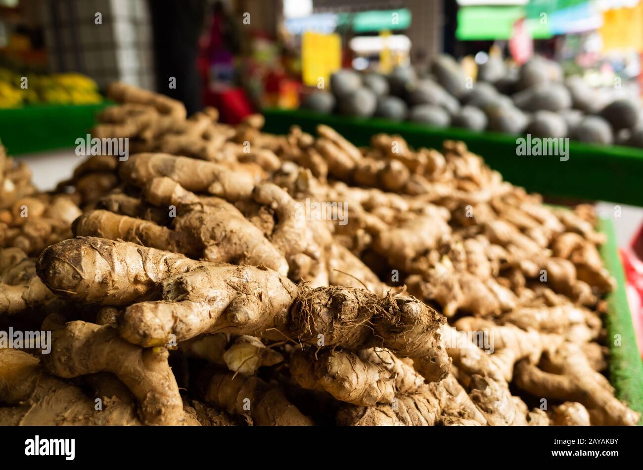 Ginger taiwan hi-res stock photography and images - Alamy