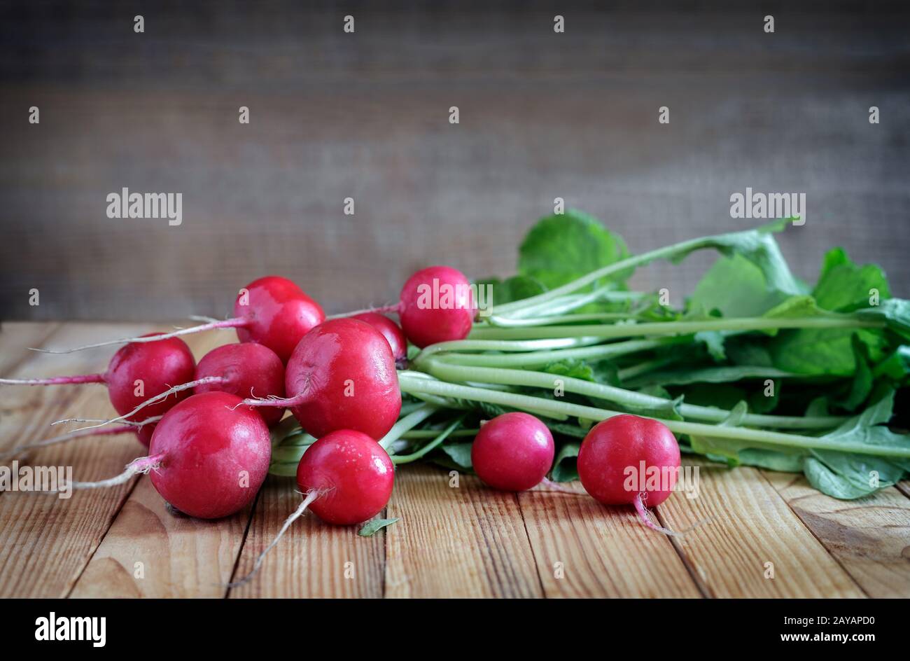 Radish leaves hi-res stock photography and images - Alamy