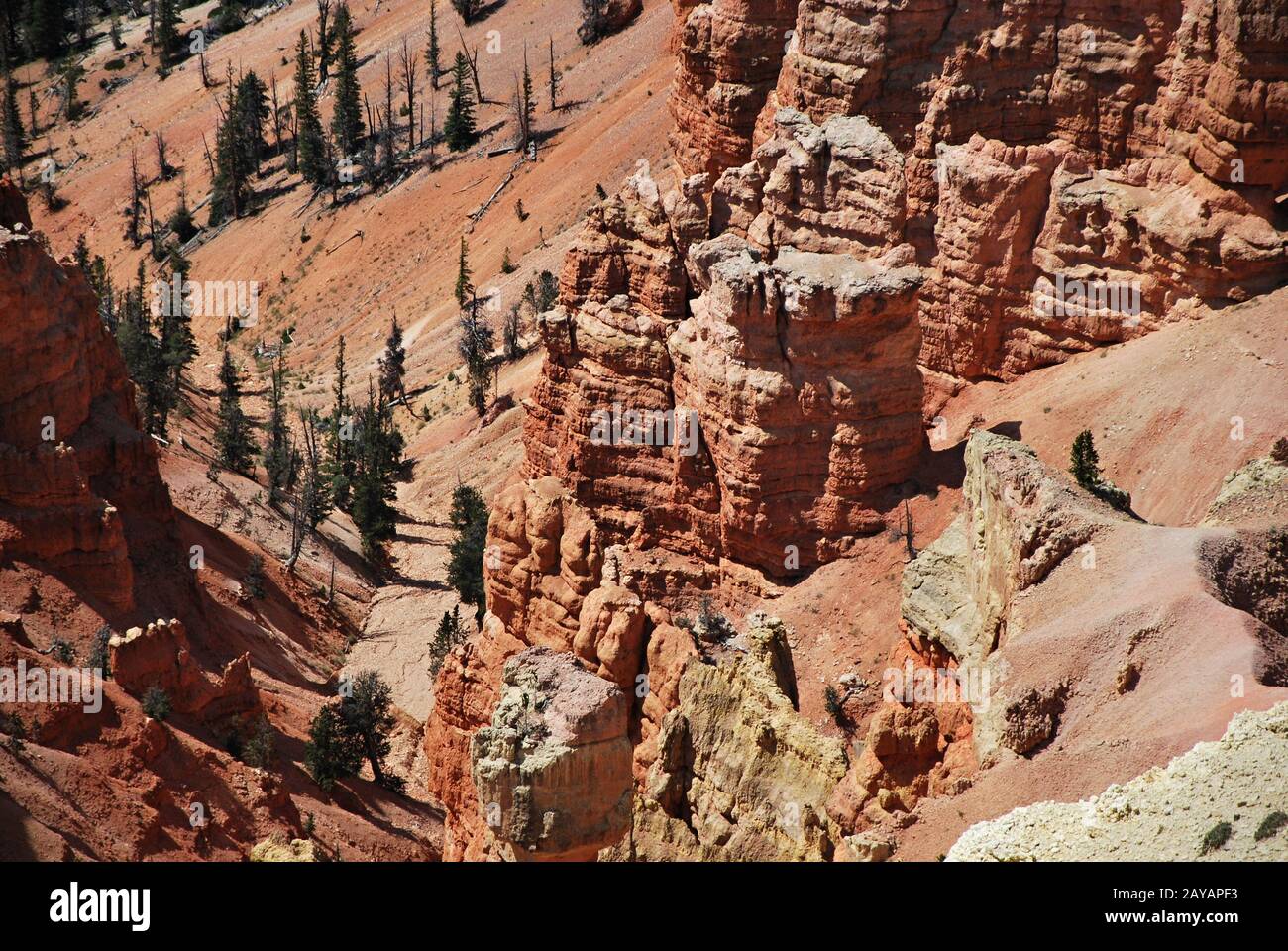 Cedar Breaks National Monument, Utah Stock Photo - Alamy