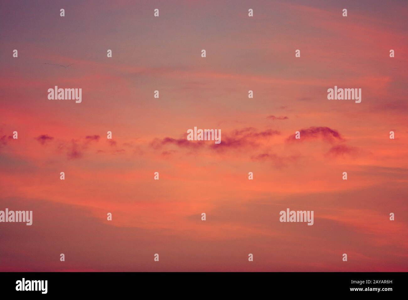 Beautiful skylight hi-res stock photography and images - Alamy