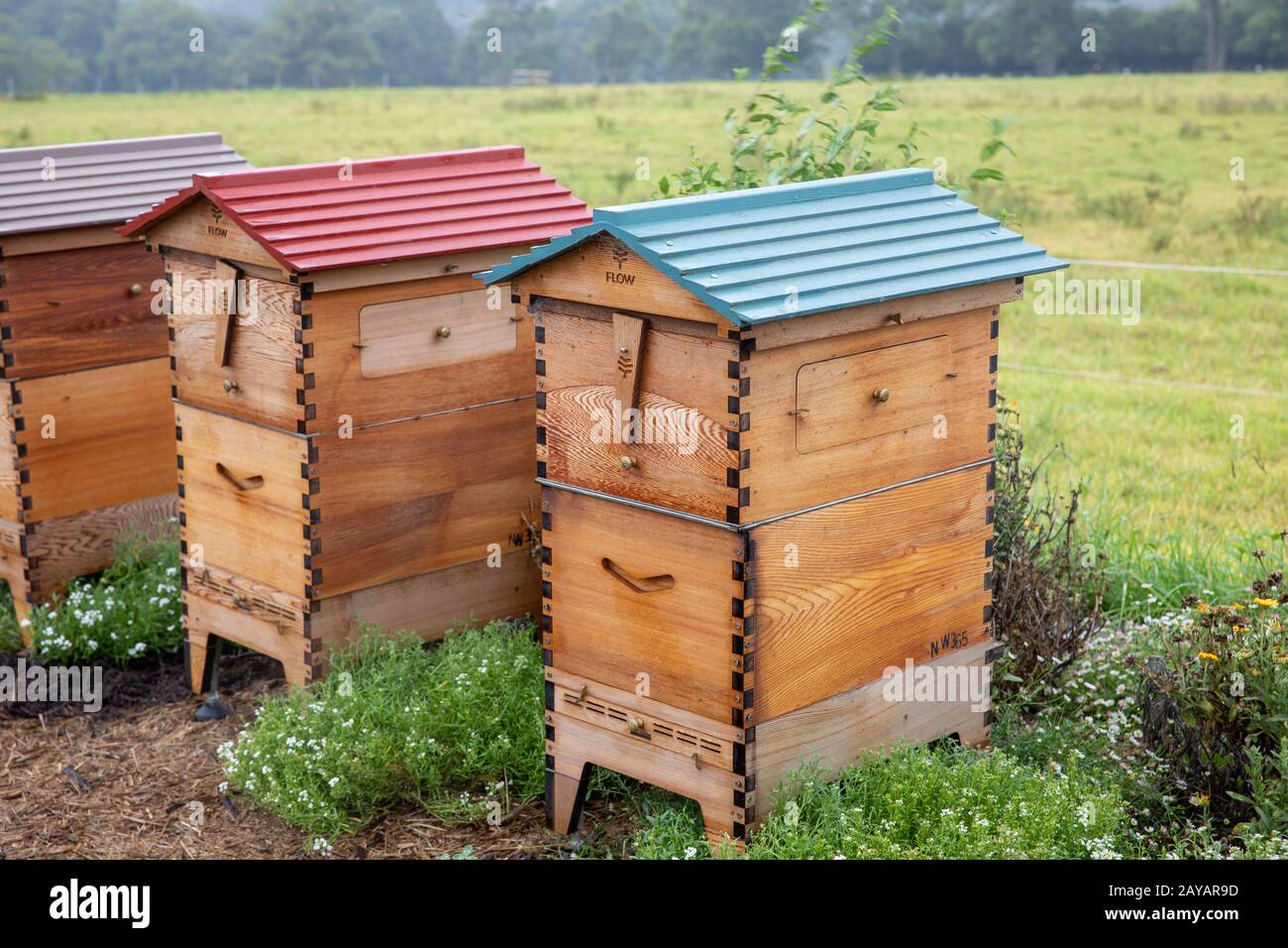 Australian flow hive for bees hi-res stock photography and images - Alamy