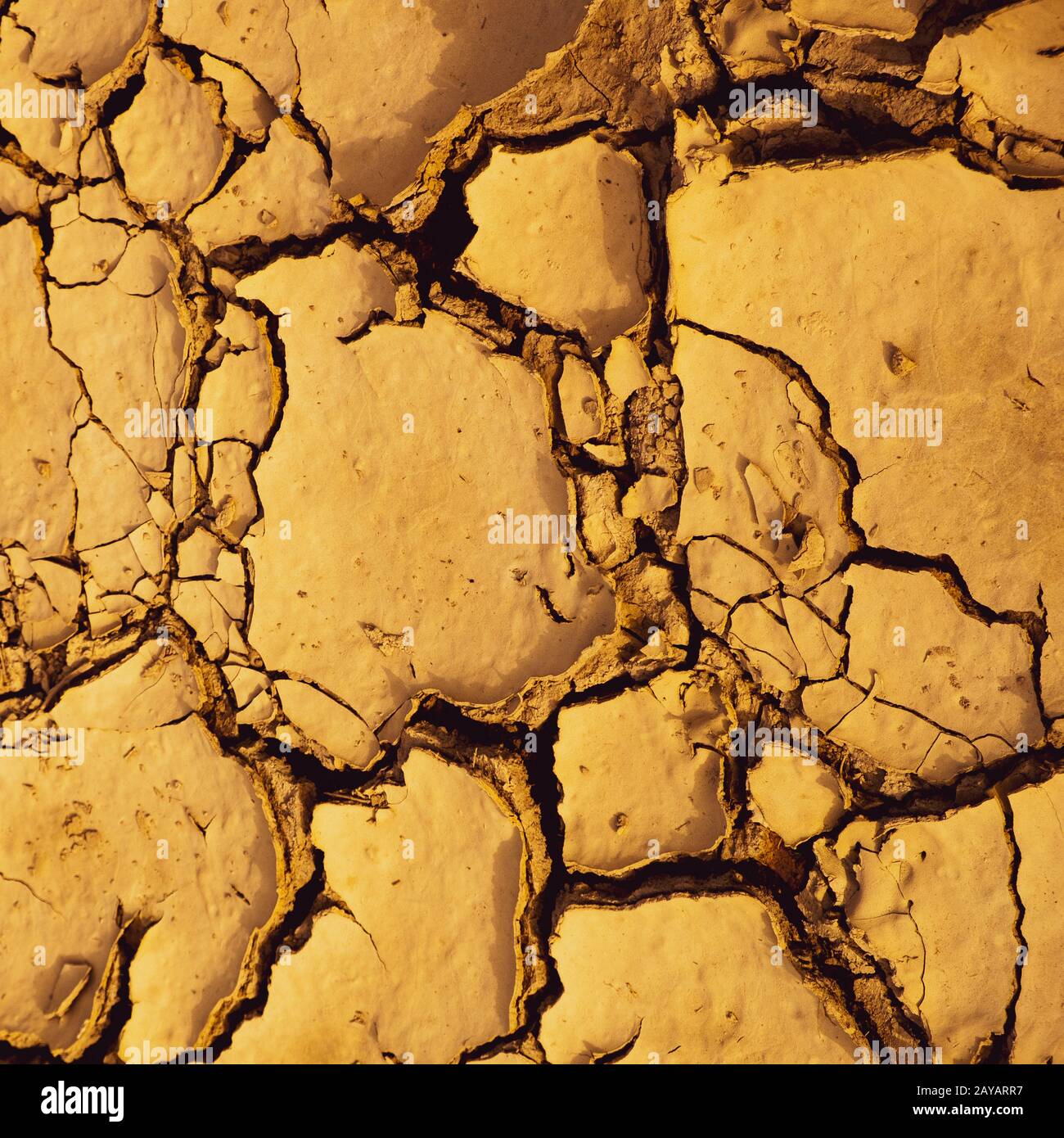 Dried cracked mud suitable as background and climate change symbol ...