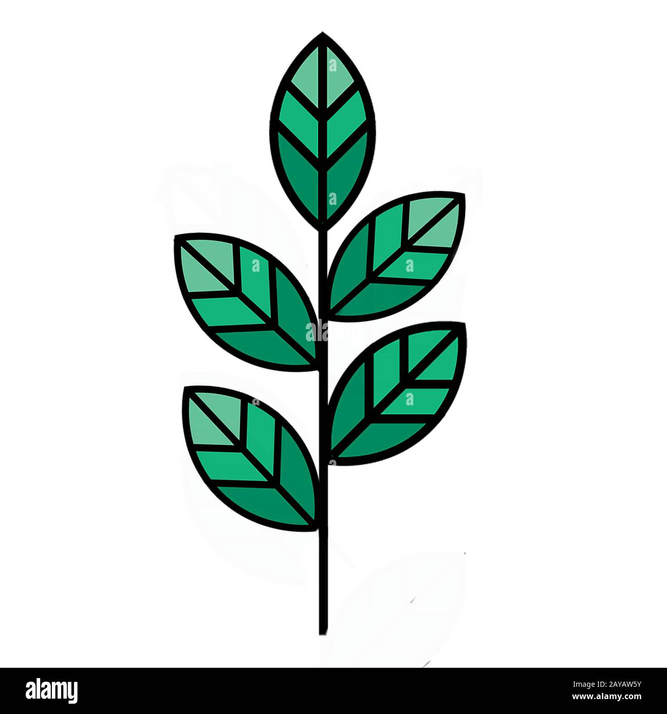 Simple flower outline Cut Out Stock Images & Pictures - Alamy
