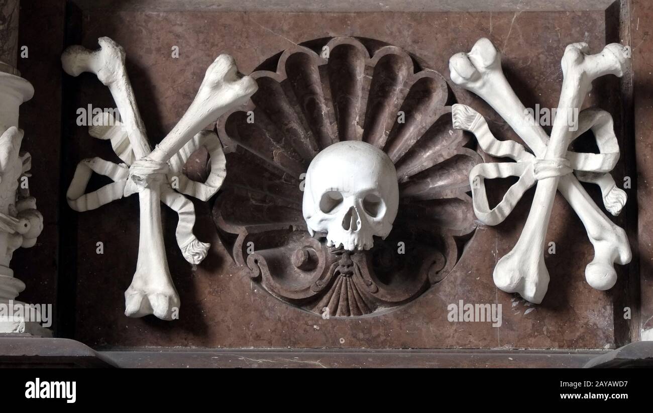 Vanitas skull hi-res stock photography and images - Alamy