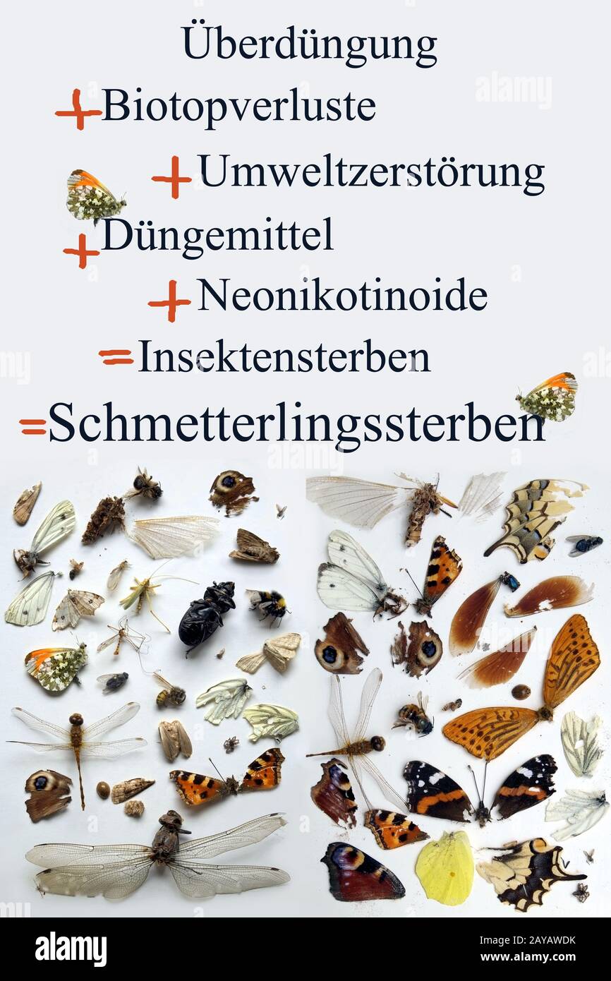 Extinction of the species hi-res stock photography and images - Alamy