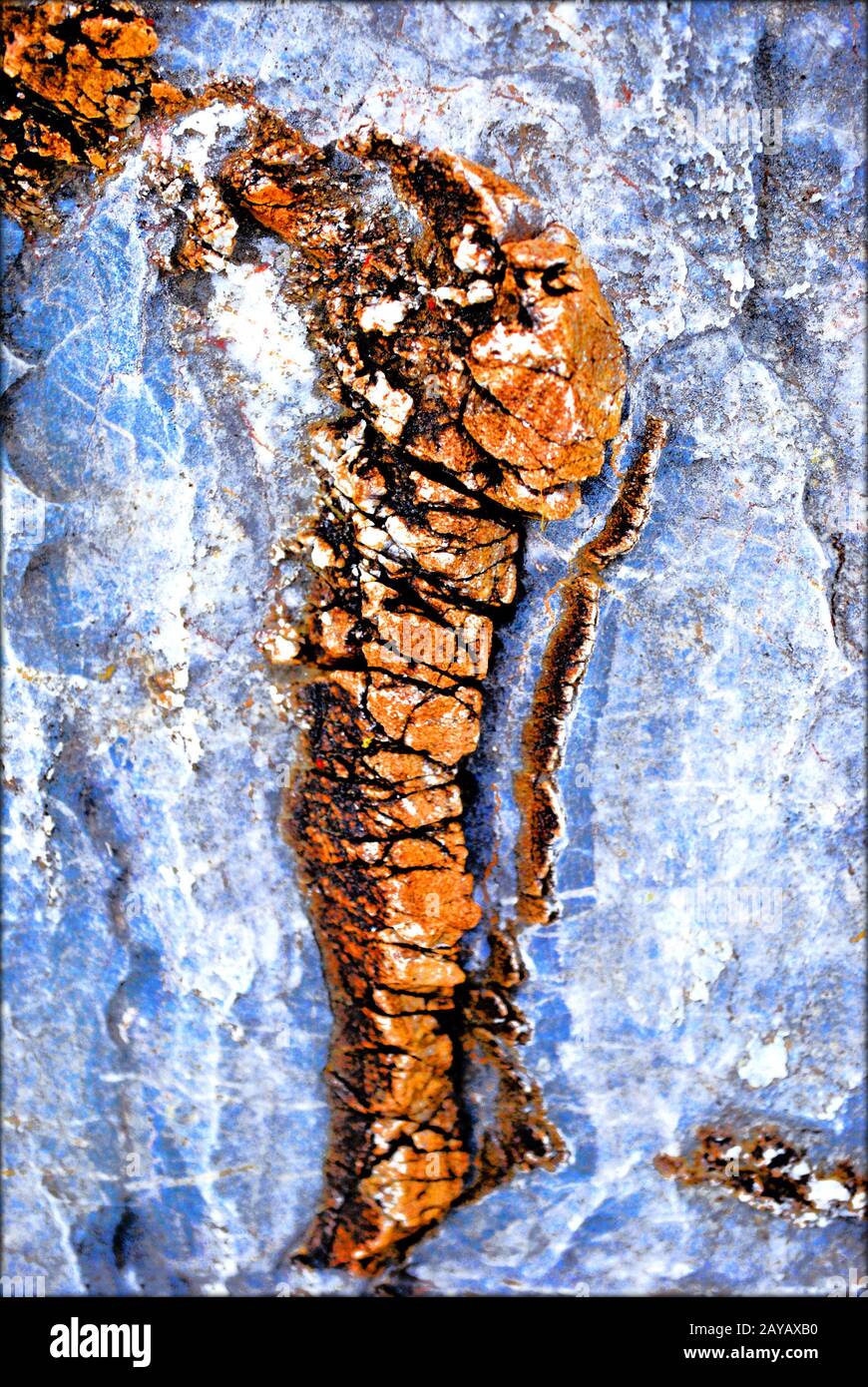 On the rocks trippy psychedelic macro abstract background stock ...