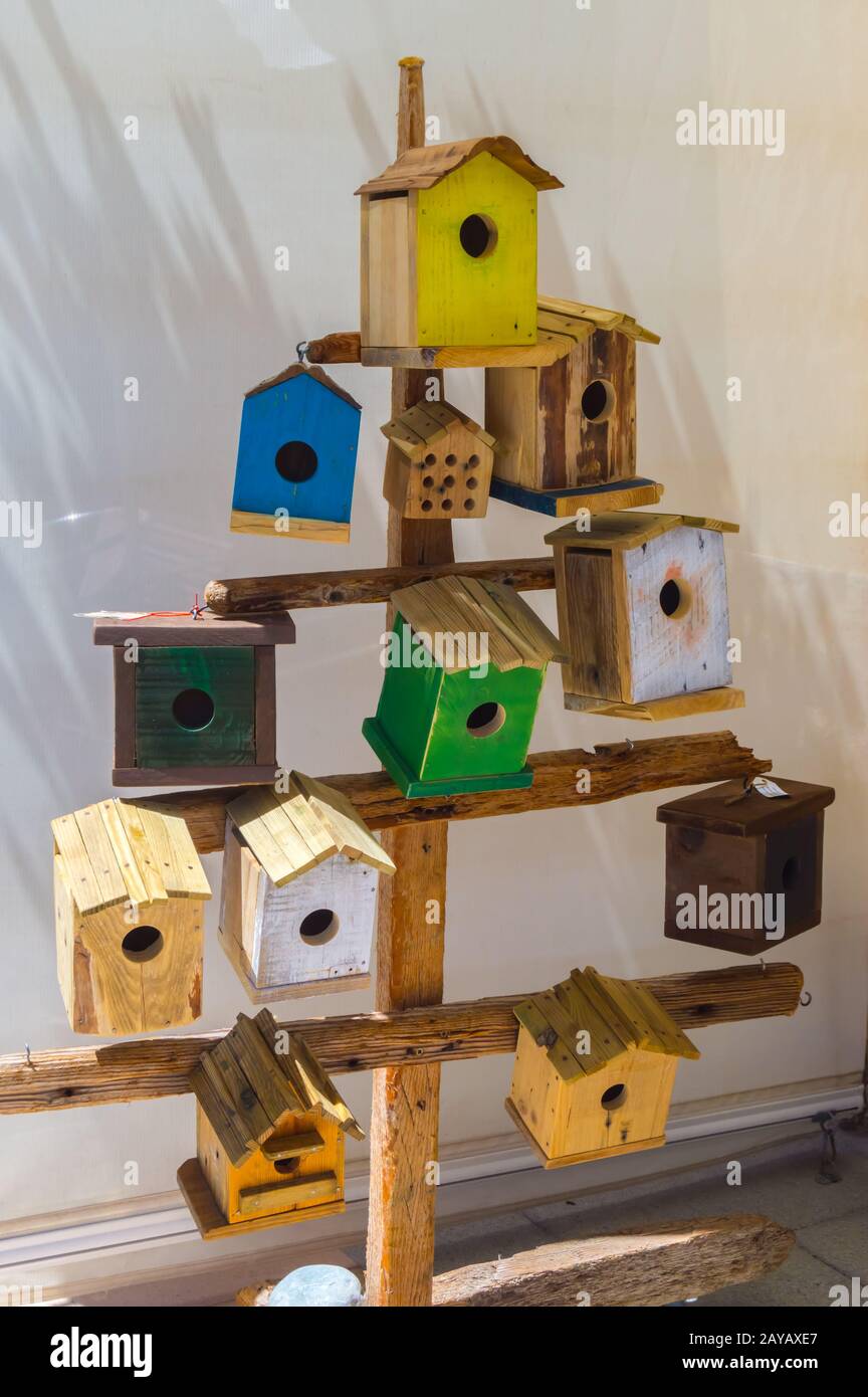 Several birds with nest hi-res stock photography and images - Alamy