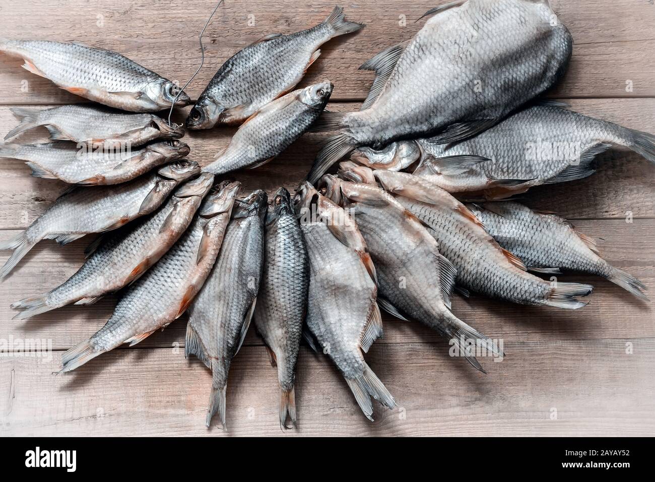 Dried roach lies on the surface of the table Stock Photo - Alamy