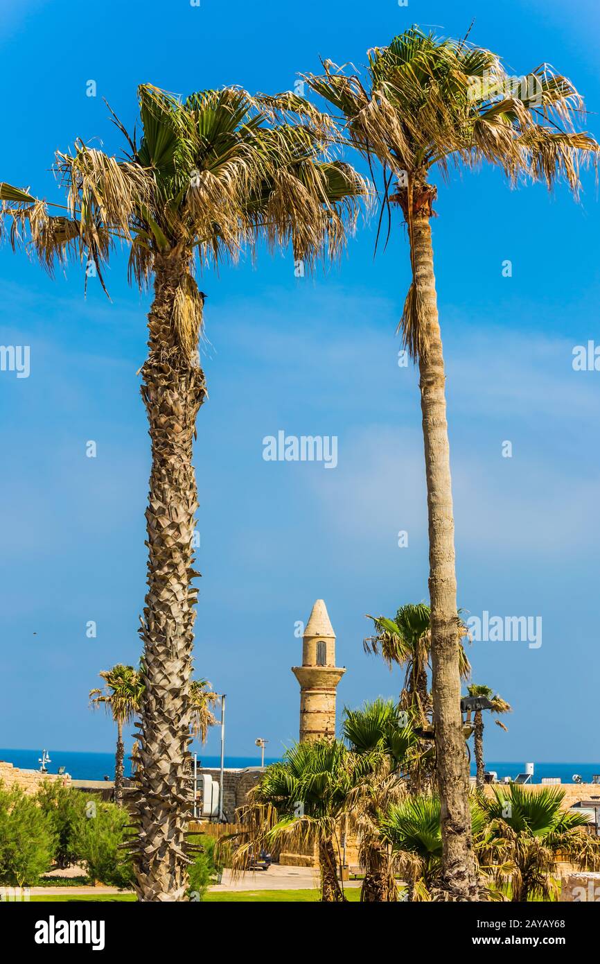 Ruins of the port of Caesarea Stock Photo - Alamy