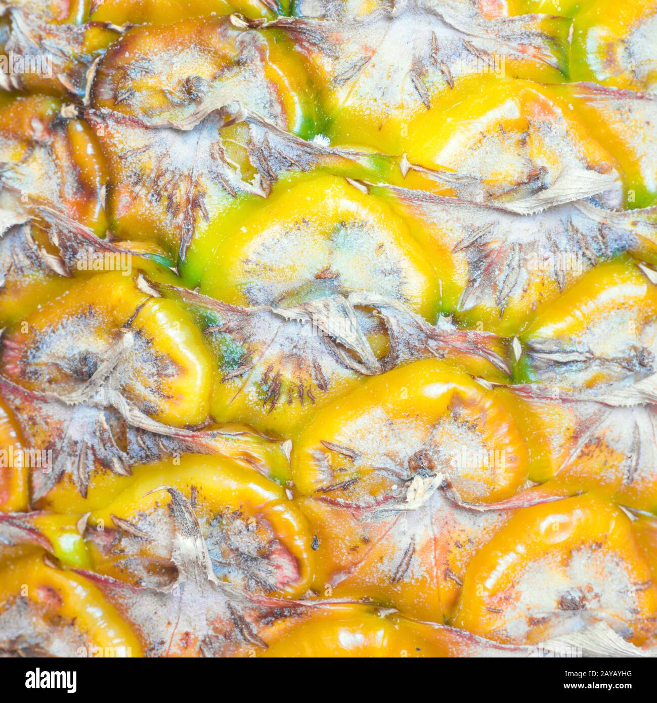Texture of pineapple skin Stock Photo - Alamy