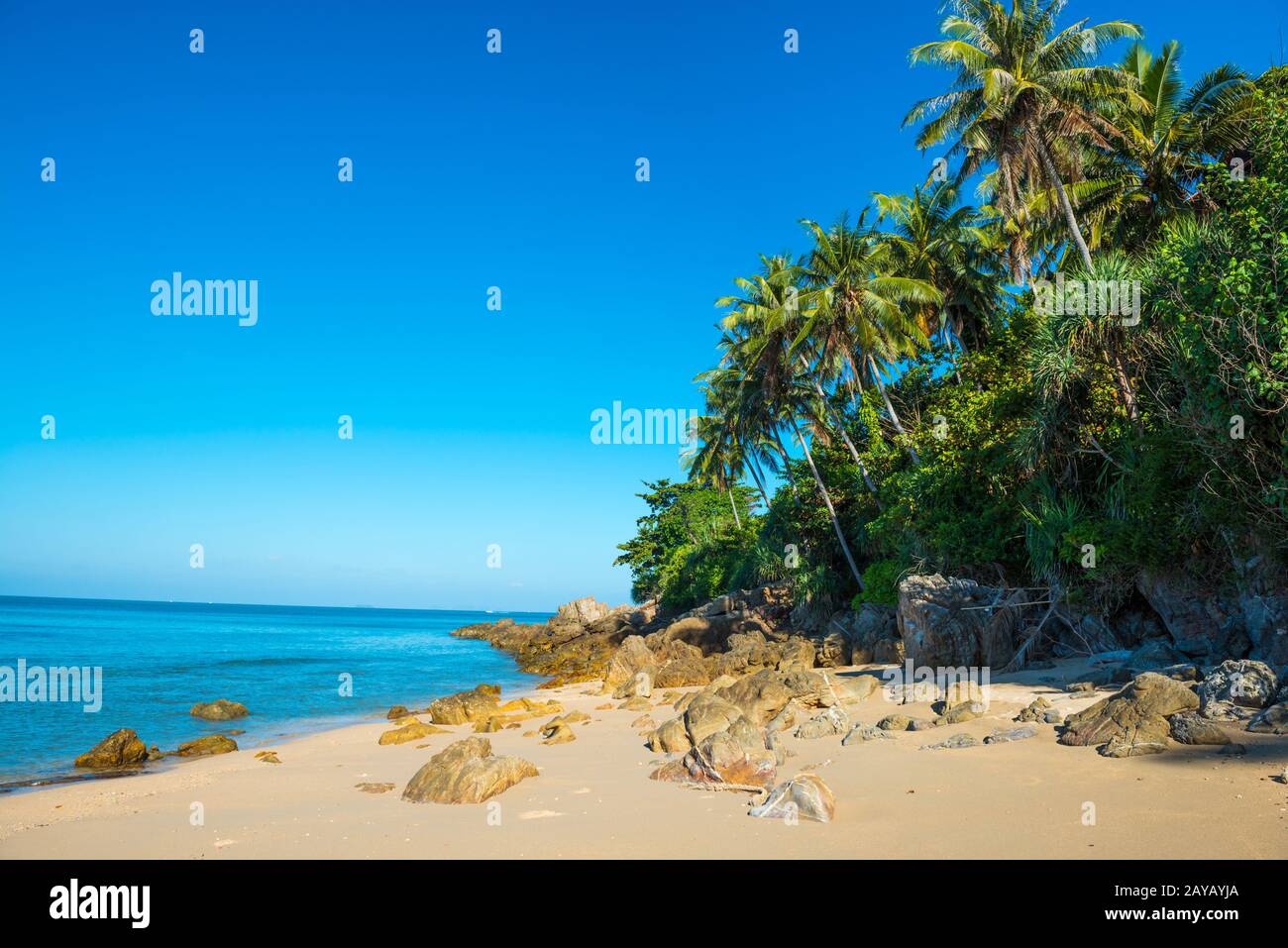 Tropical beach with rocks and palm trees Stock Photo - Alamy