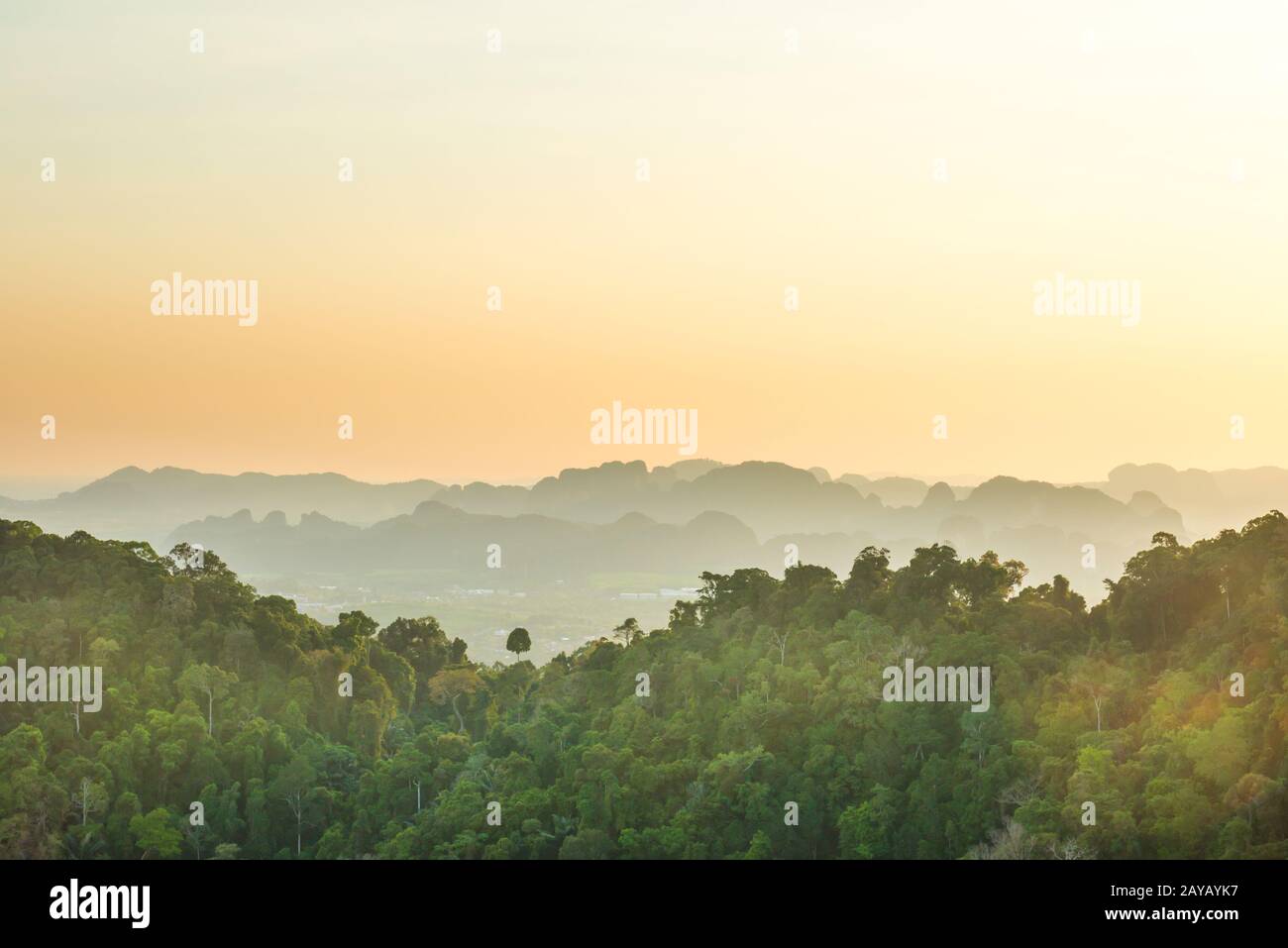Rainforest and steep mountains hi-res stock photography and images - Alamy