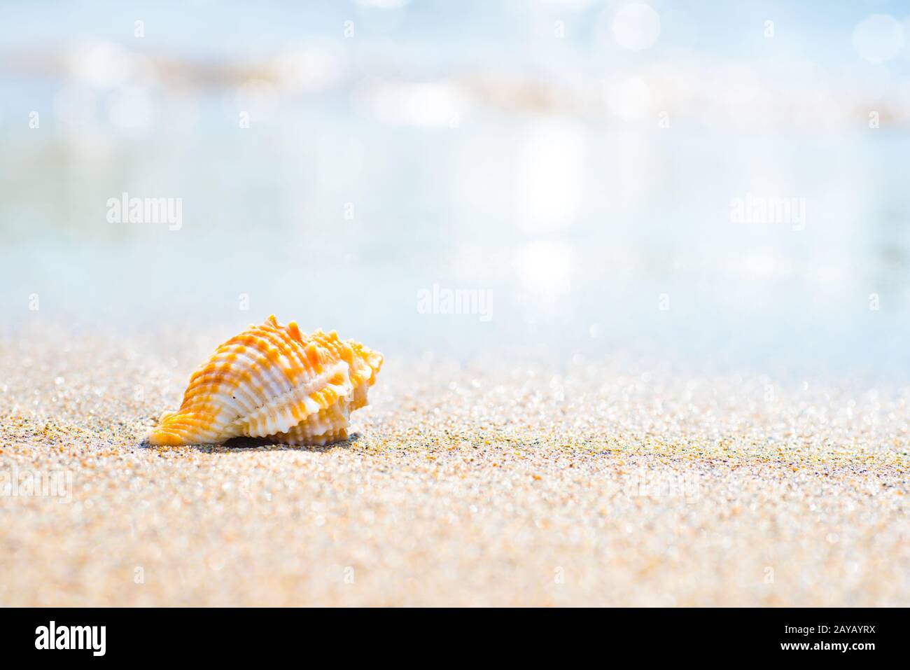 Sand shell island hi-res stock photography and images - Alamy