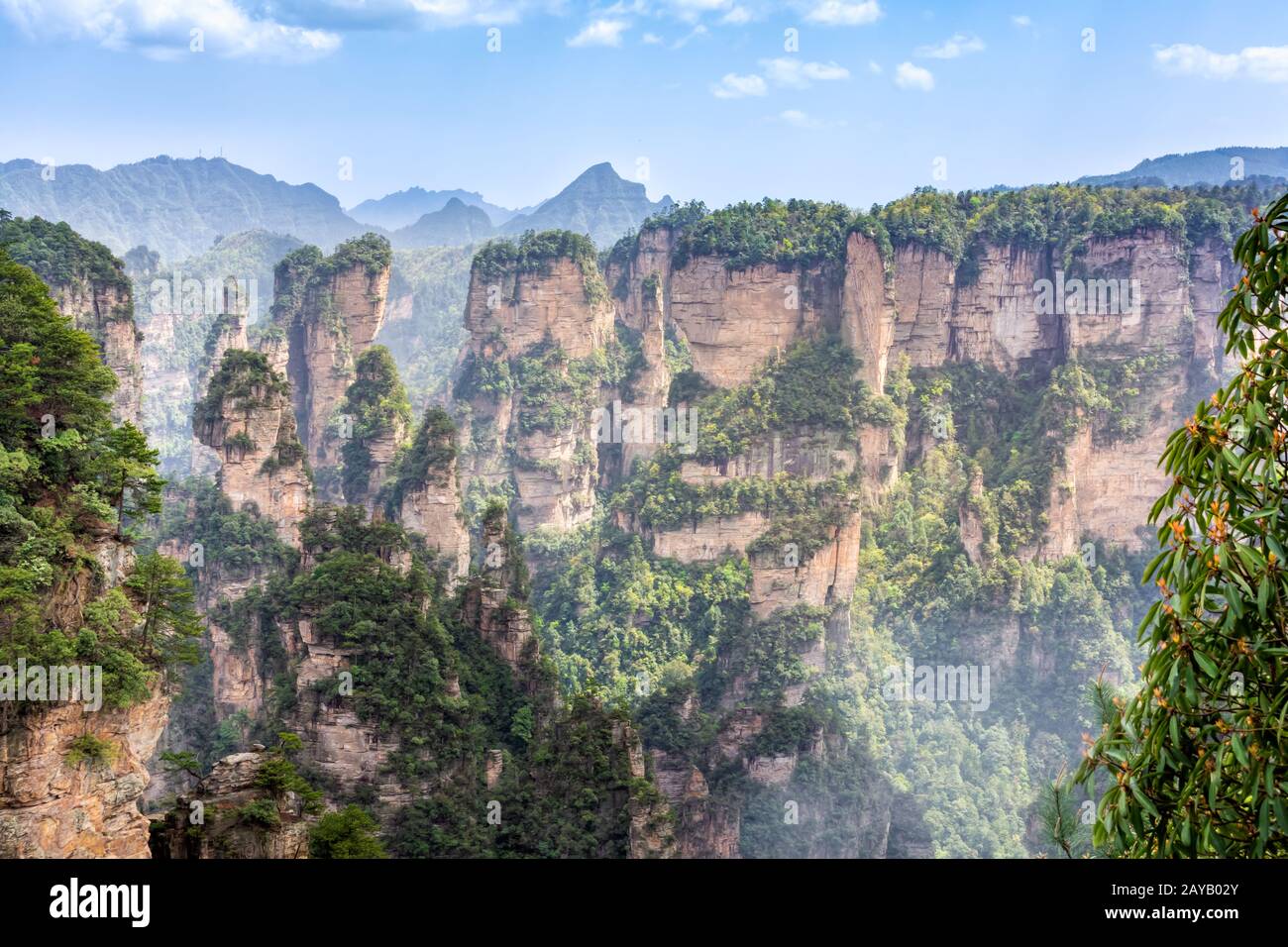 Wulingyuan canyon china hi-res stock photography and images - Alamy