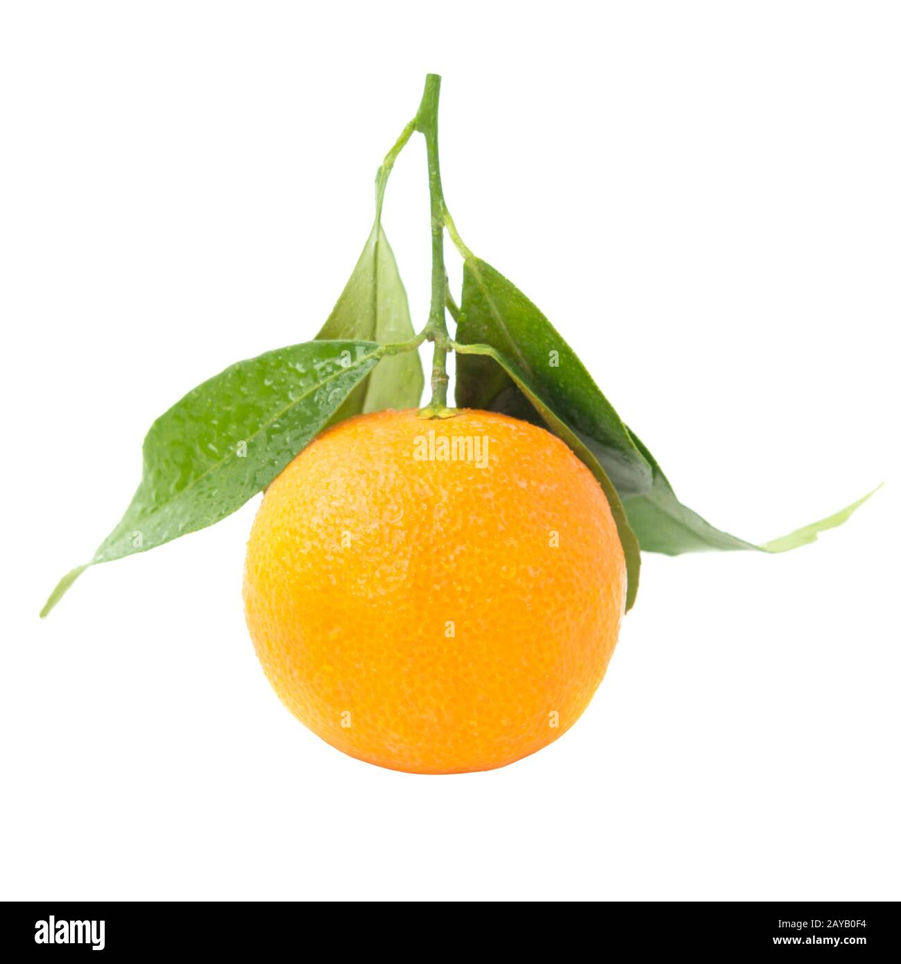 Mandarins with leaf hi-res stock photography and images - Alamy
