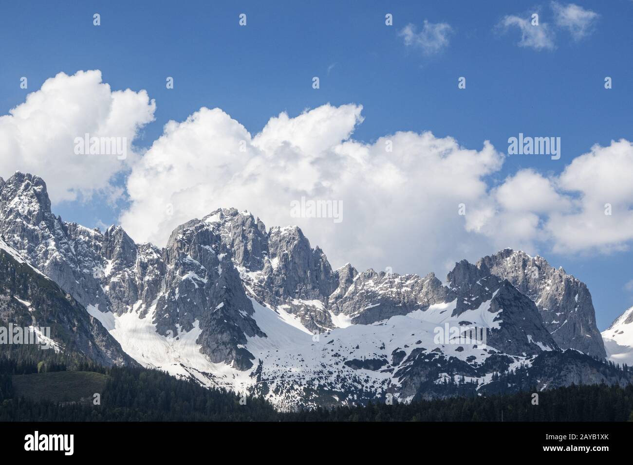 Wild Emperor in Austria Stock Photo - Alamy