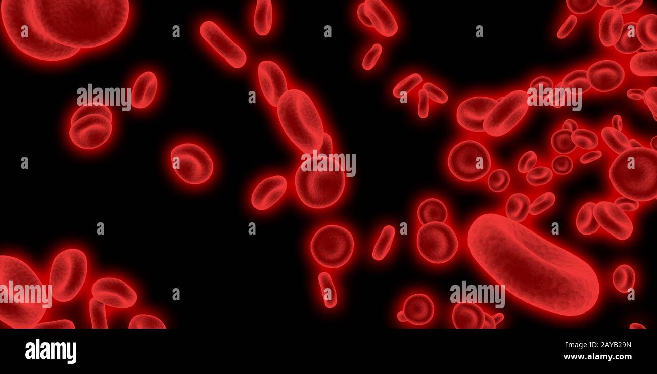 Blood Cells Circulation Stock Photo - Alamy